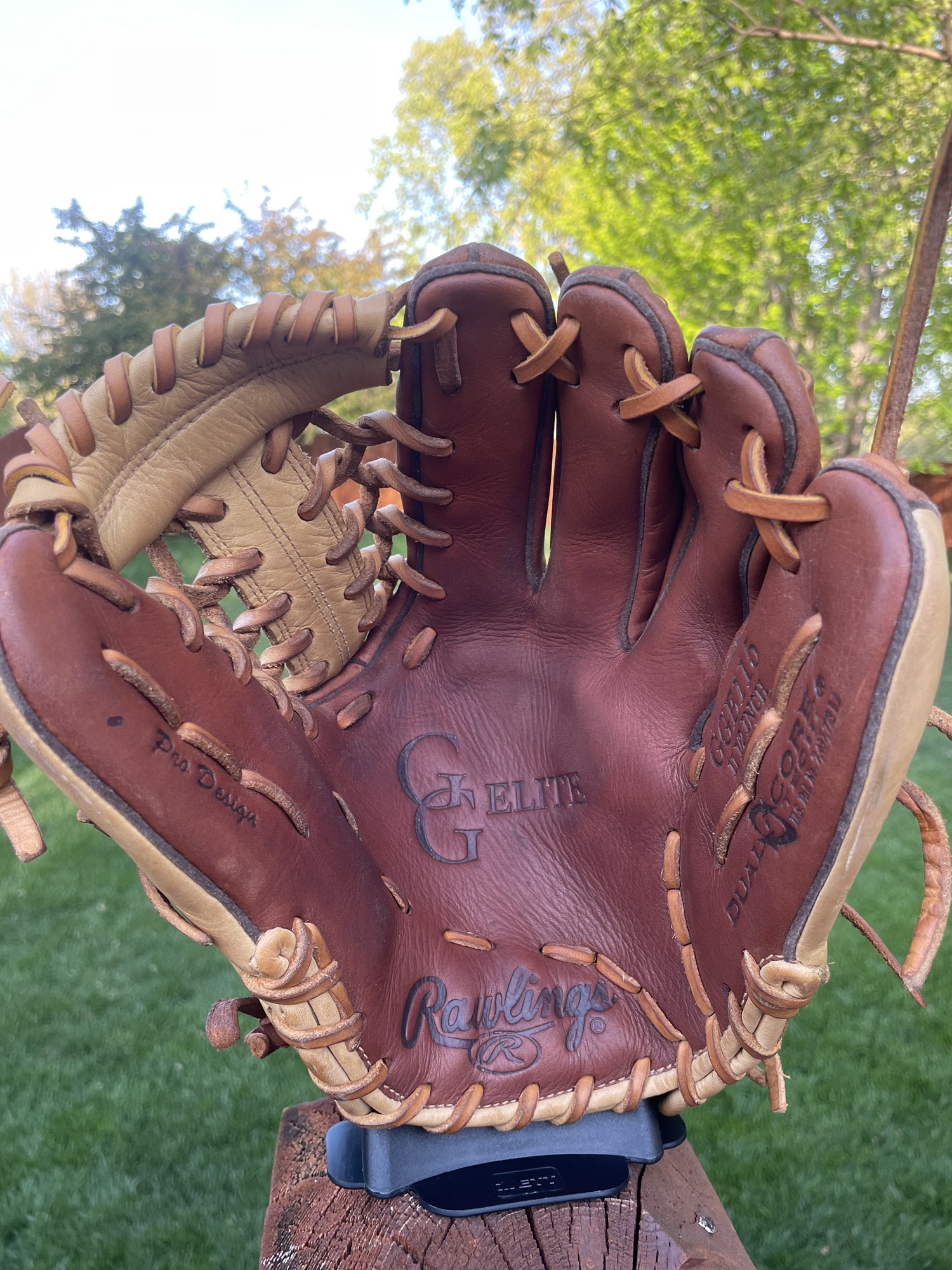 Infield 11.5" Gold Glove Elite Baseball Glove | SidelineSwap