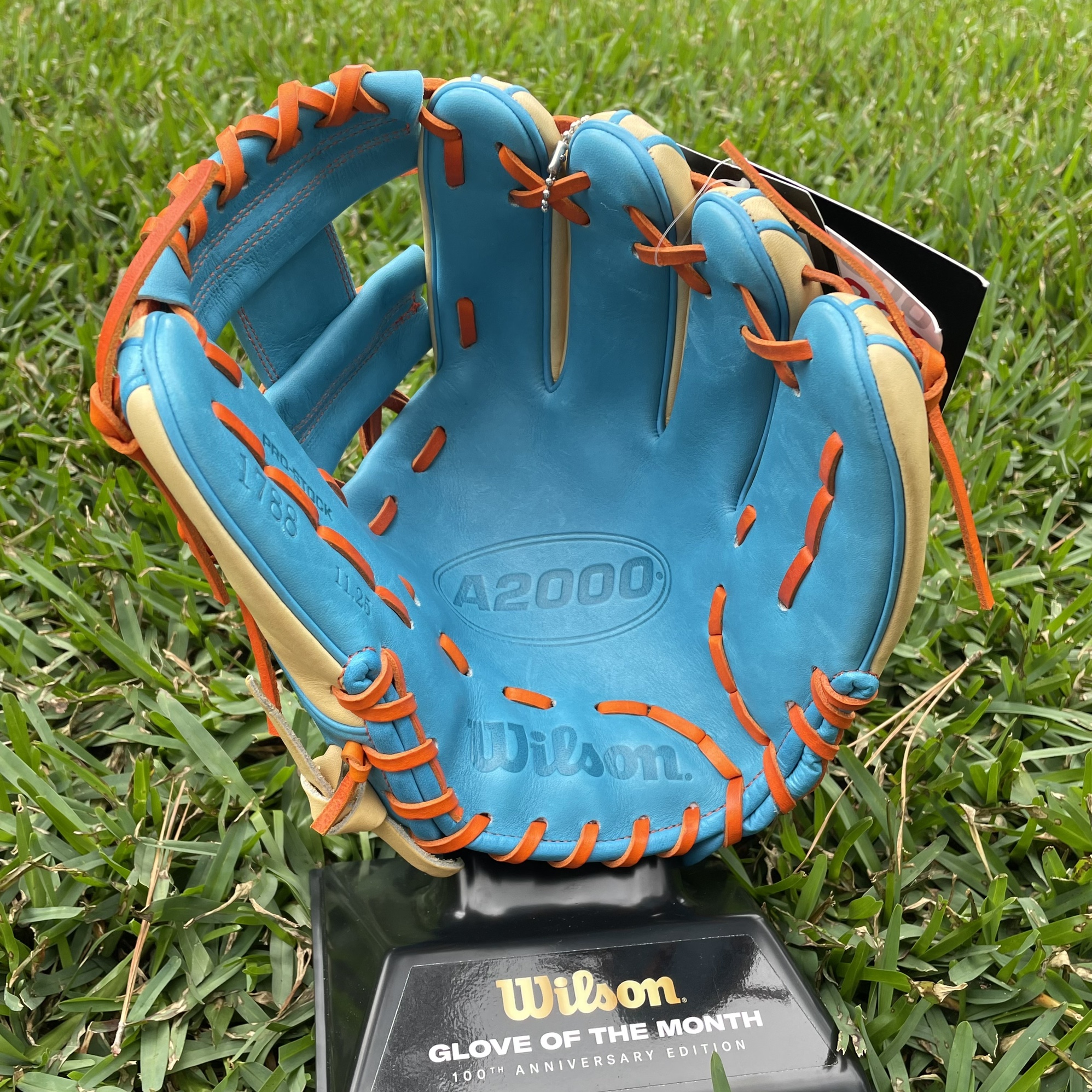 NWT Wilson A2000 1788 Tropical Blue 11.25" Baseball Glove - June 2016 ...