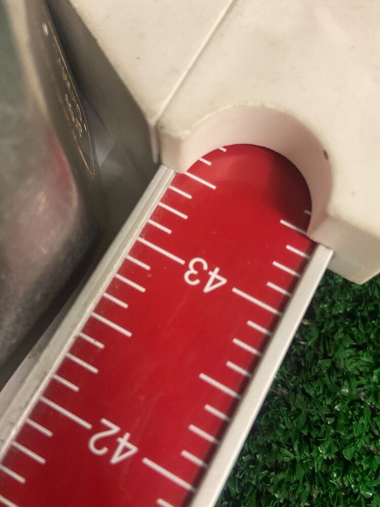 Budweiser Original BIG BUD Jumbo Driver 10.5* RH Quadrax Ladies ...