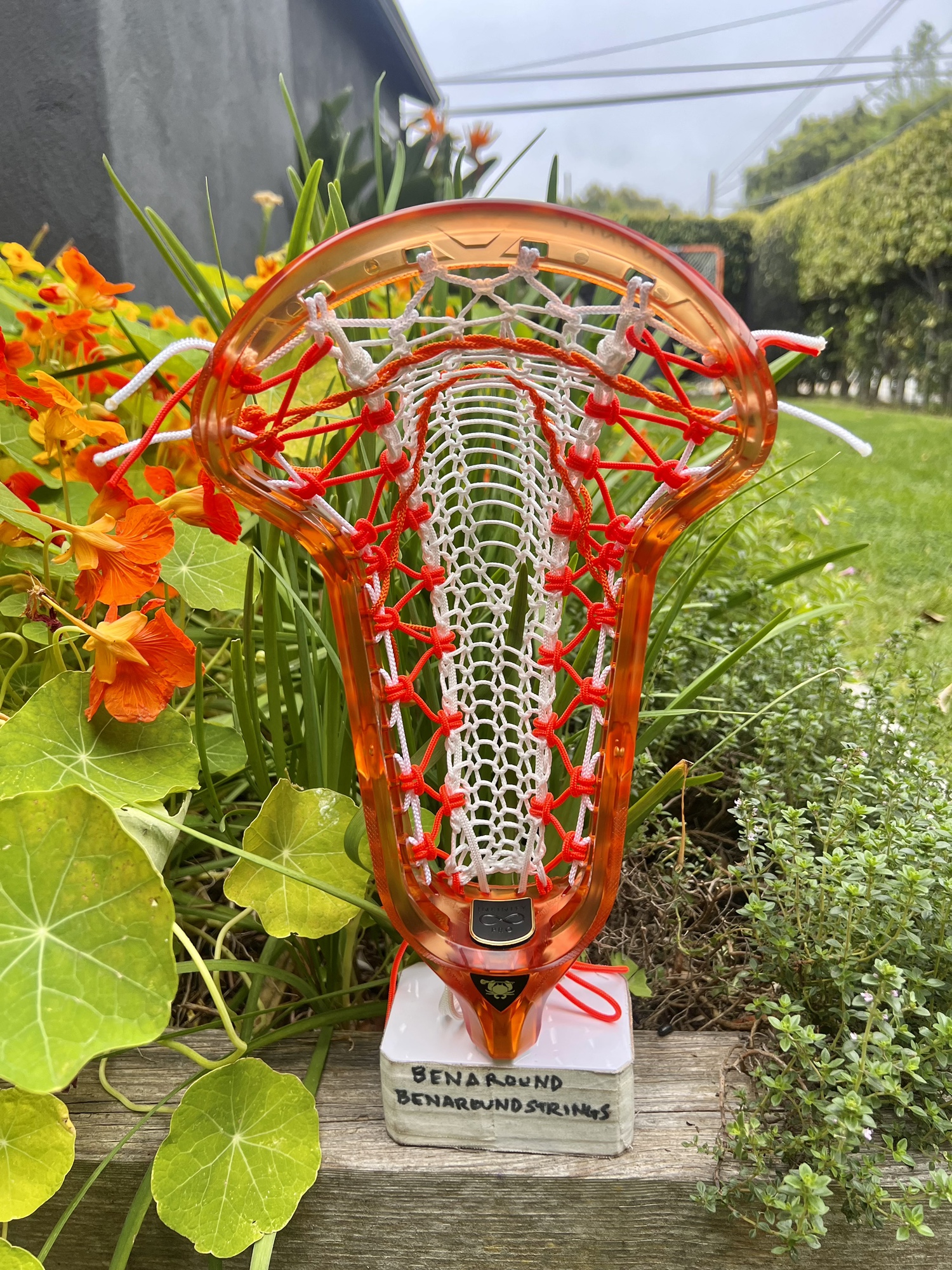 ECD Infinity Pro Womens Head with Armor Mesh | SidelineSwap