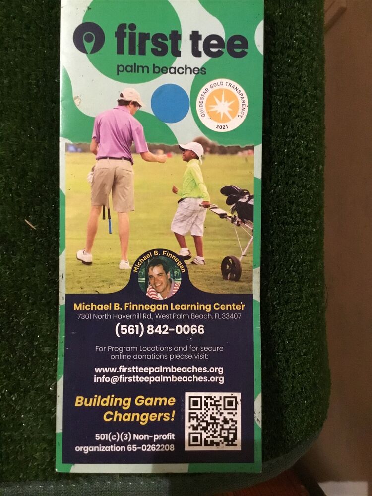 Callaway Ladies Big Bertha Gems Irons Set (6-10 Irons & SW) Gems 65i ...