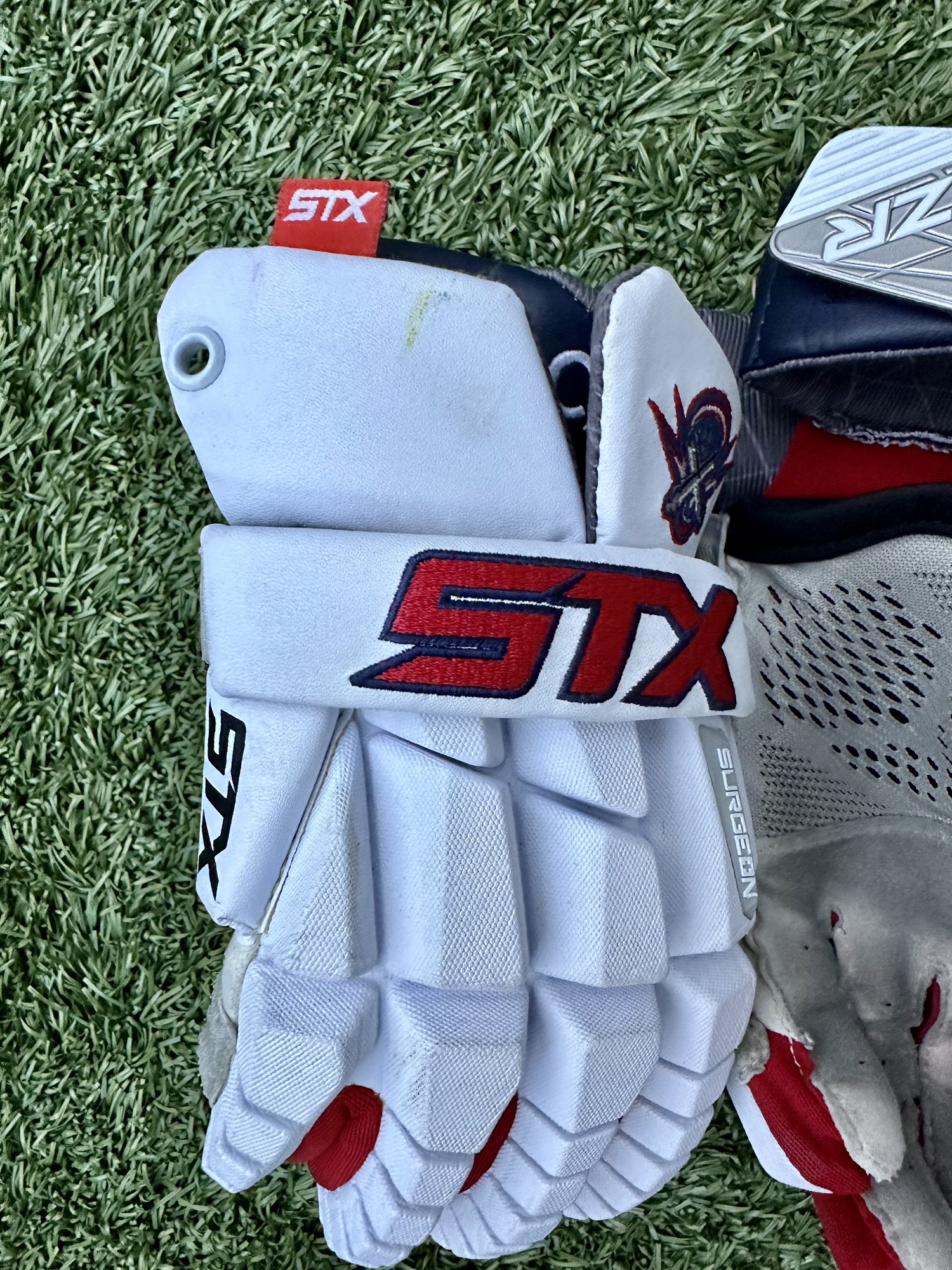 Player’s PLL Cannons STX Surgeon RZR Gloves | SidelineSwap