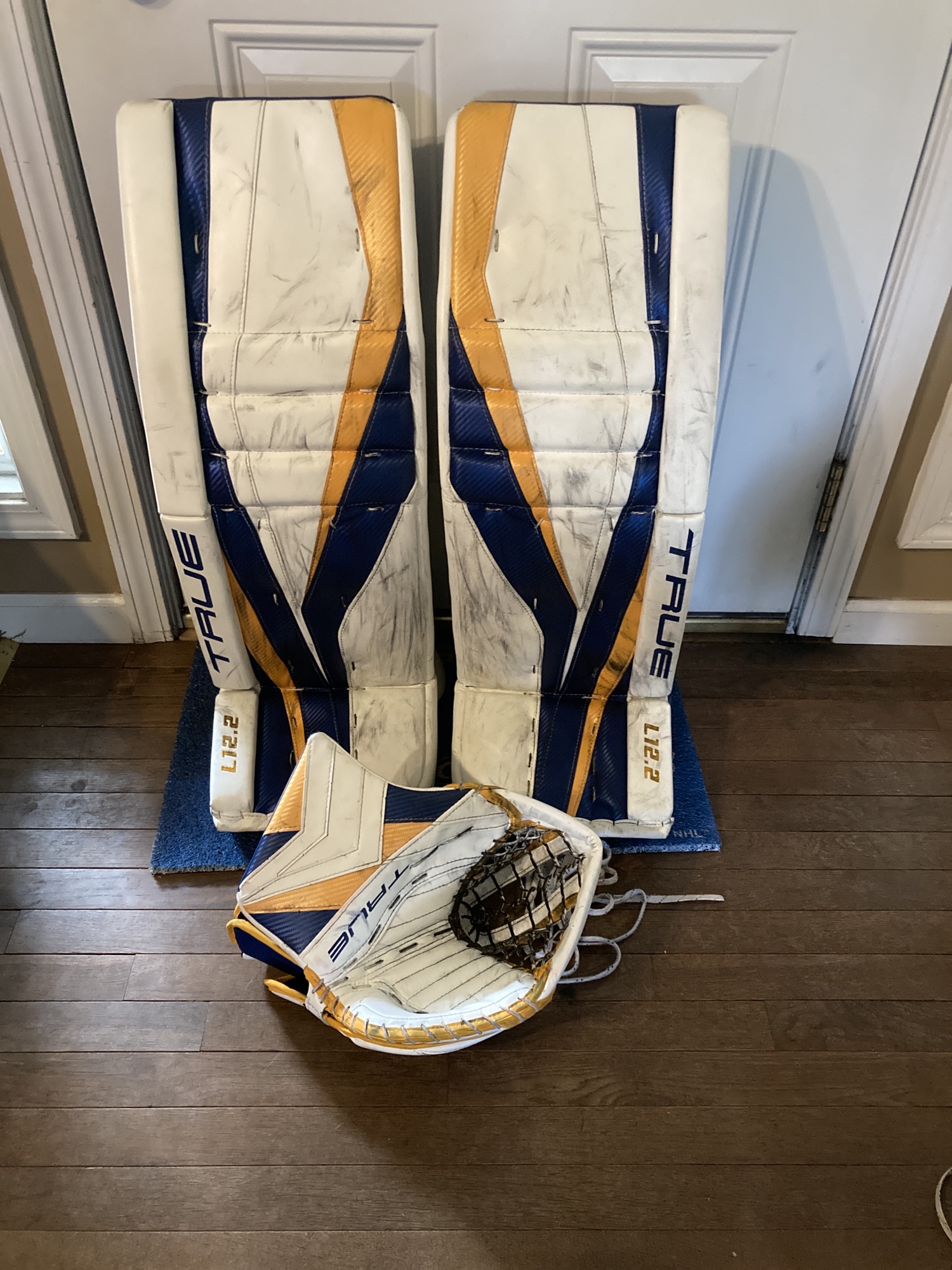 True Catalyst PX3 Pro Custom Glove Joel Hofer St. Louis Blues ...