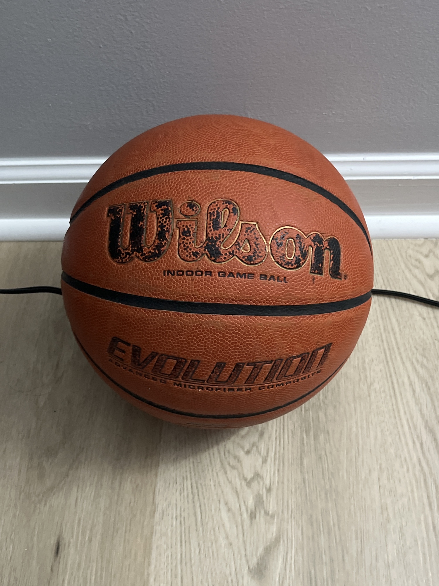 Men's Wilson Evolution Basketball Official Size | SidelineSwap