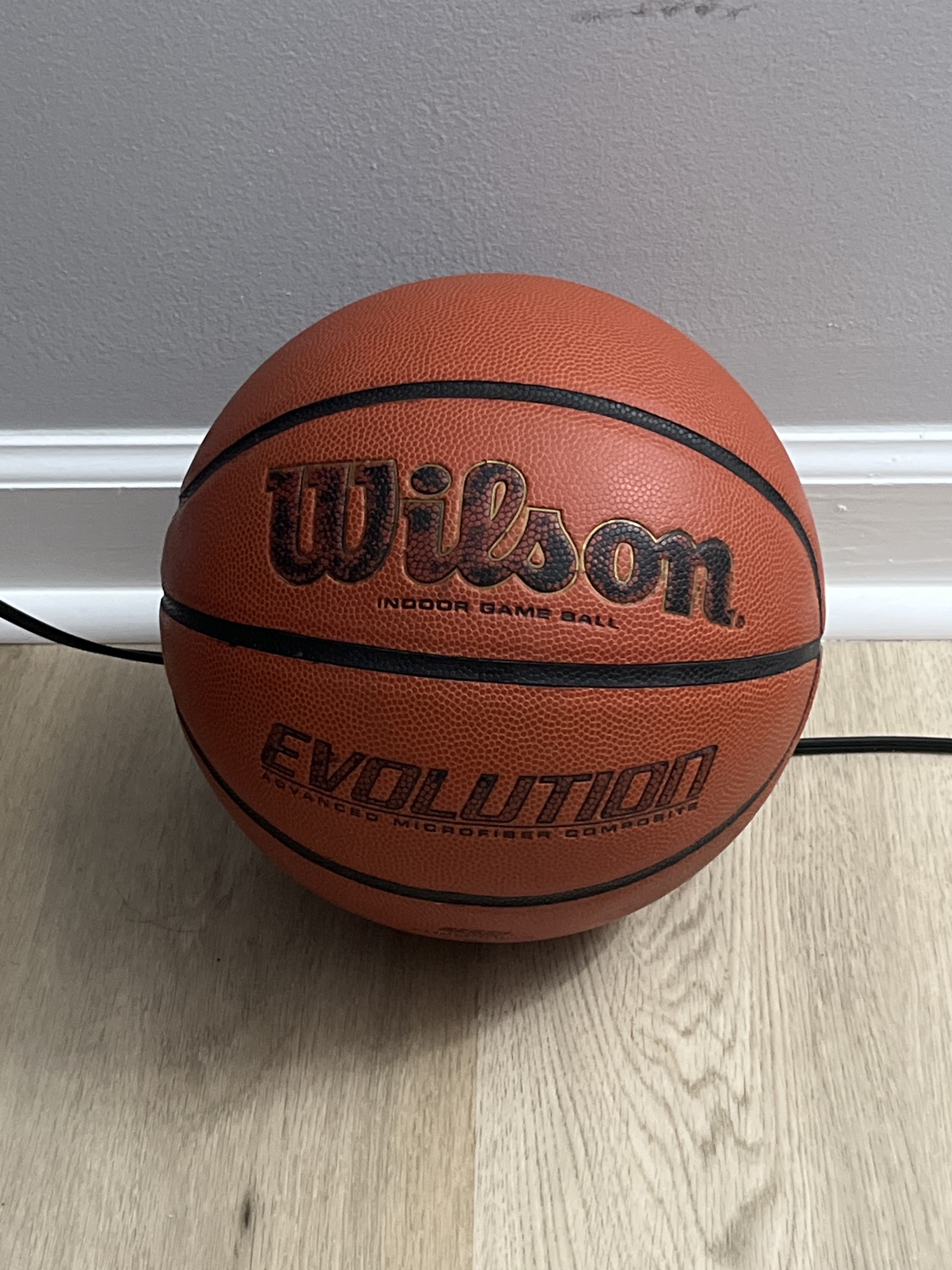 Men's Wilson Evolution Basketball Official Size | SidelineSwap