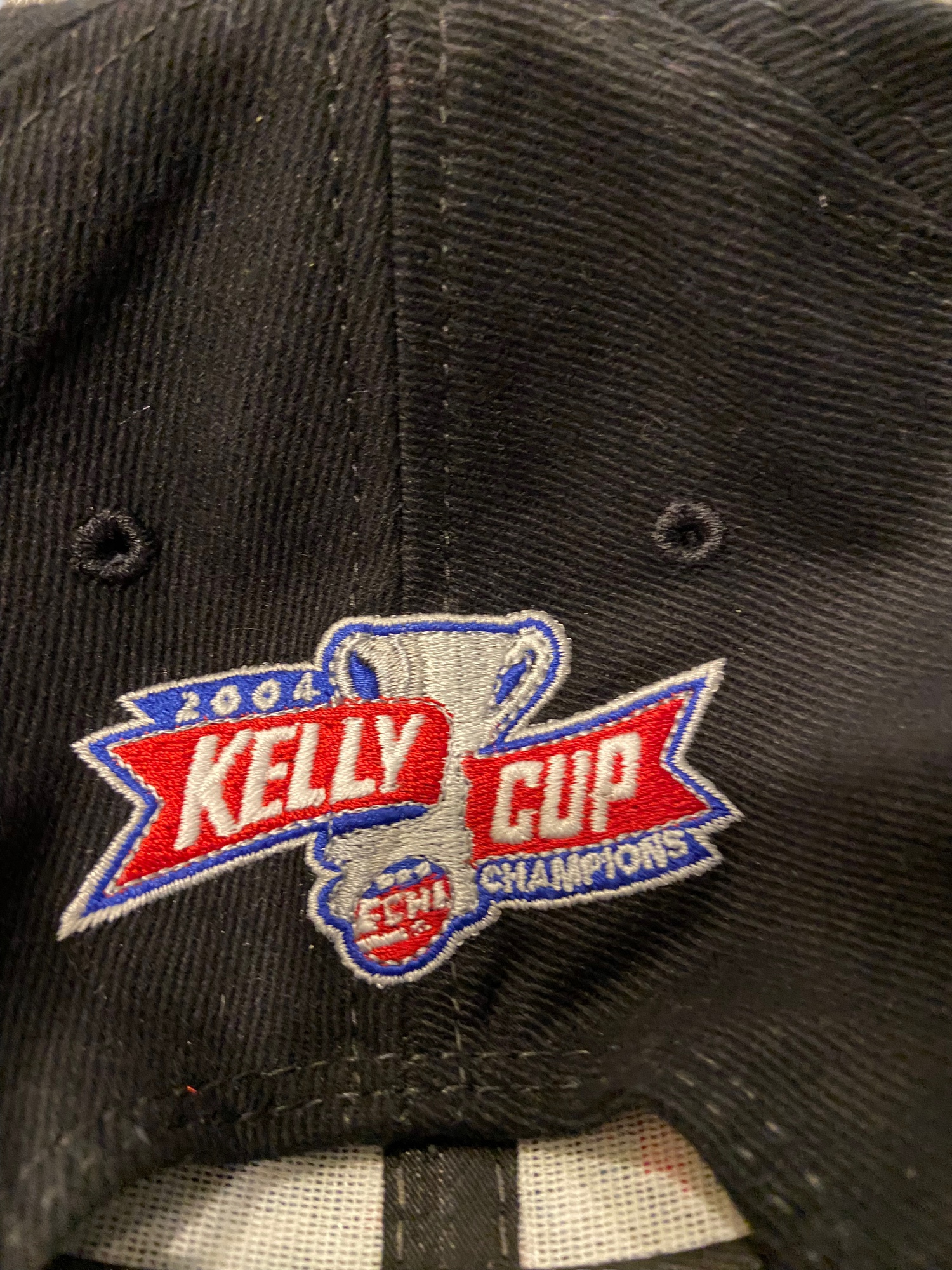 ECHL Idaho Steelheads 2004 Kelly Cup Champions Locker Room Hat * RARE ...