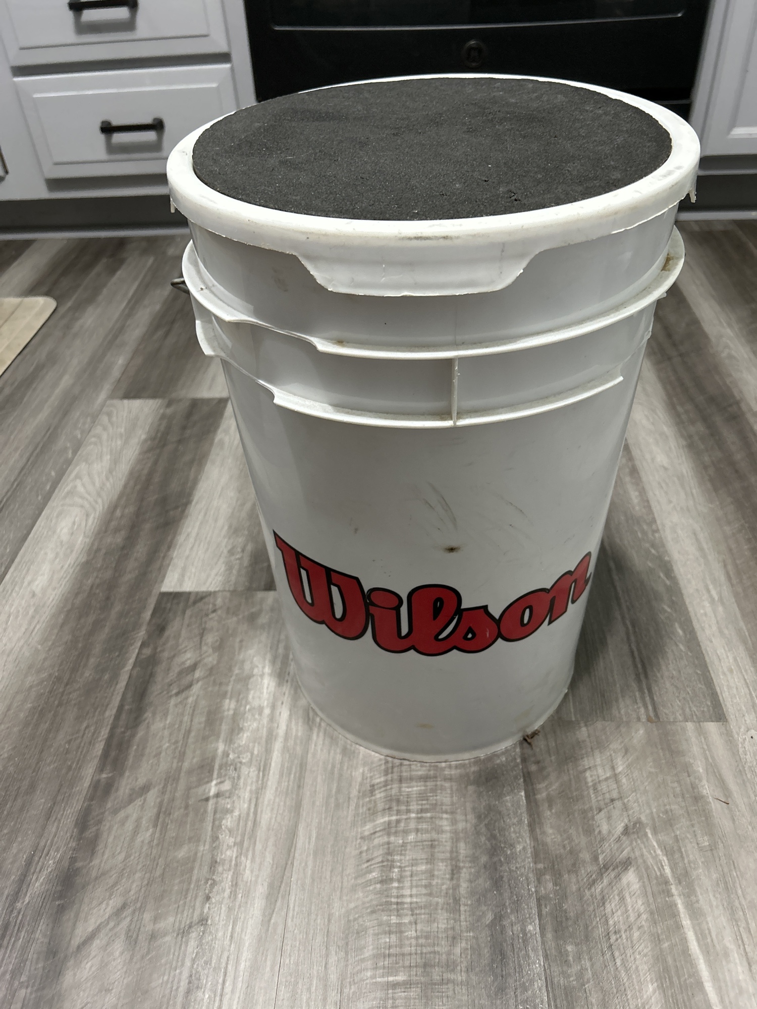 Wilson baseball bucket with padded lid and 24 leather baseballs ...