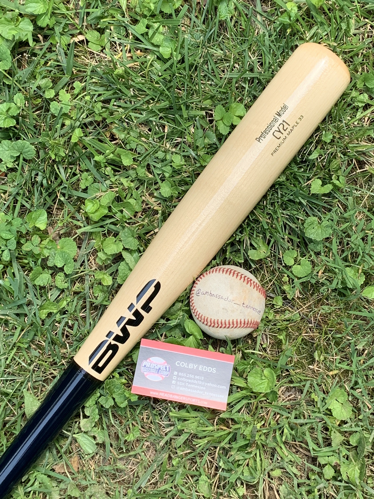 BWP 33” CY21 Pro Maple Ink Dot Wood Baseball Bat | SidelineSwap