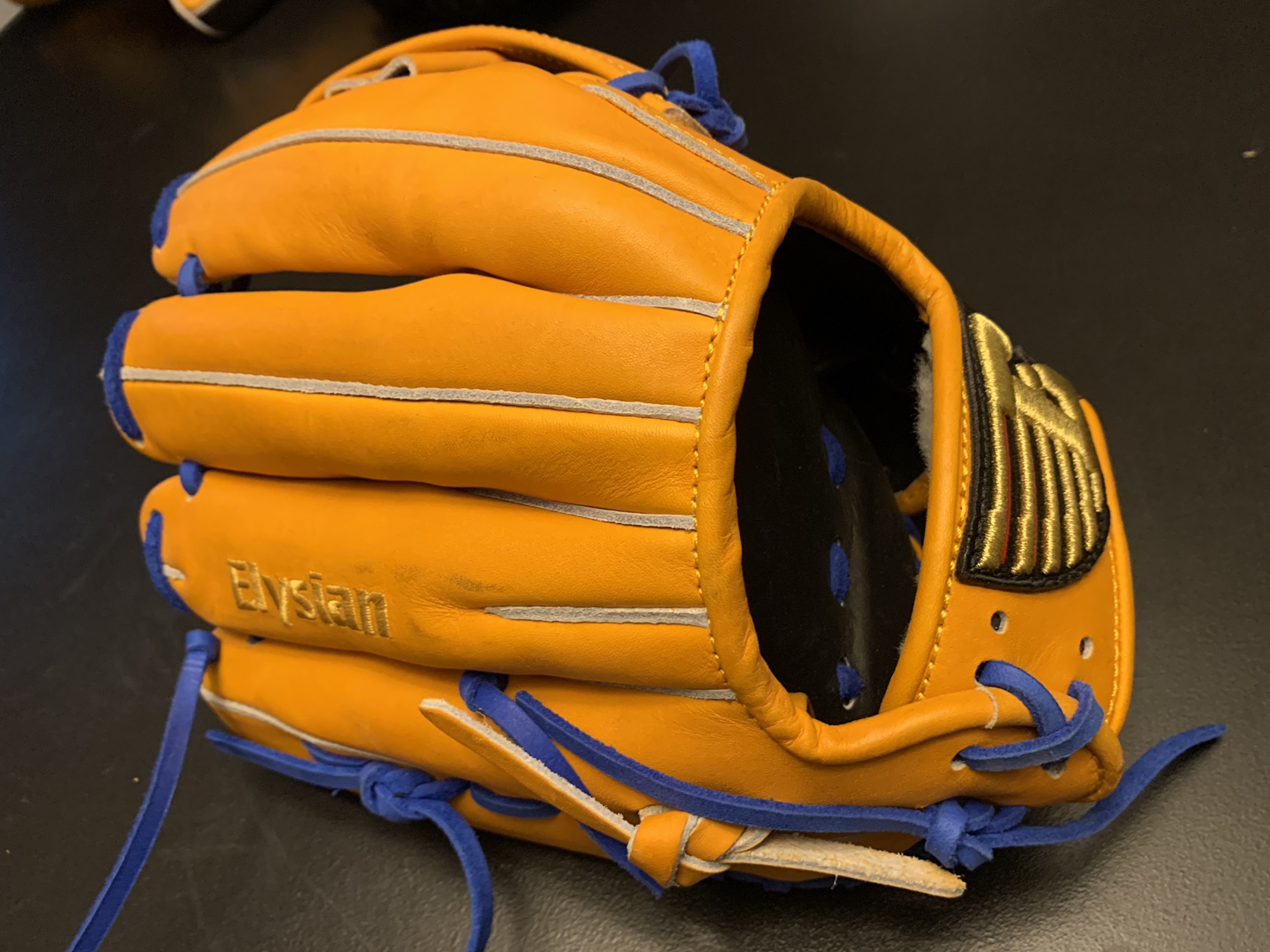 Elysian Pro Grade kip 11.5 | SidelineSwap