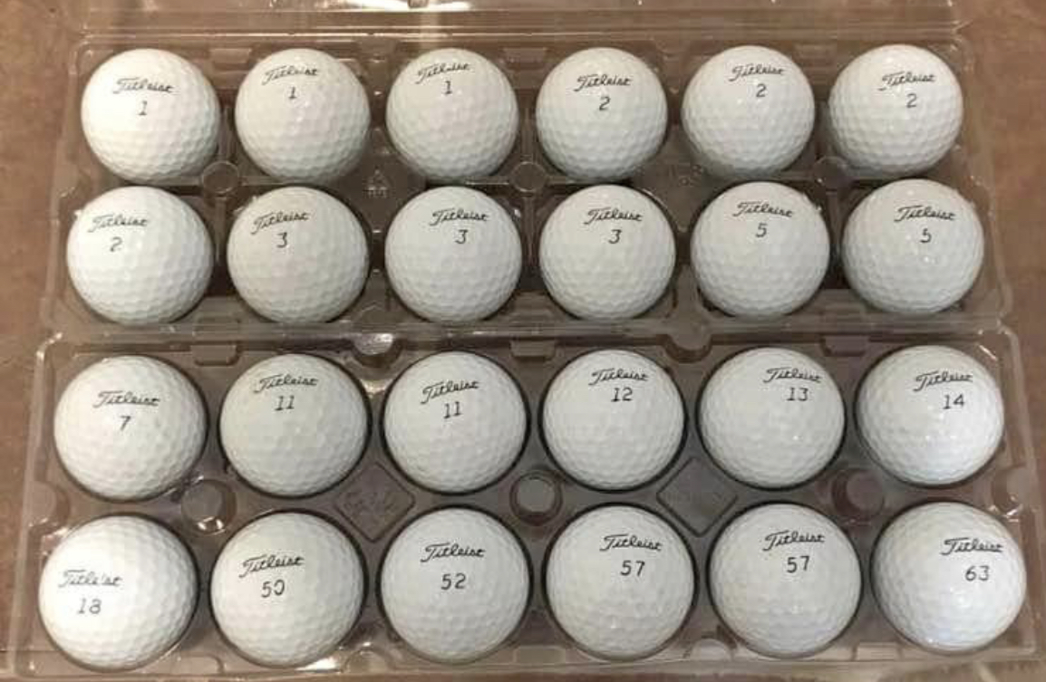 Used Titleist Pro V1 Balls 24 Pack (2 Dozen) | SidelineSwap