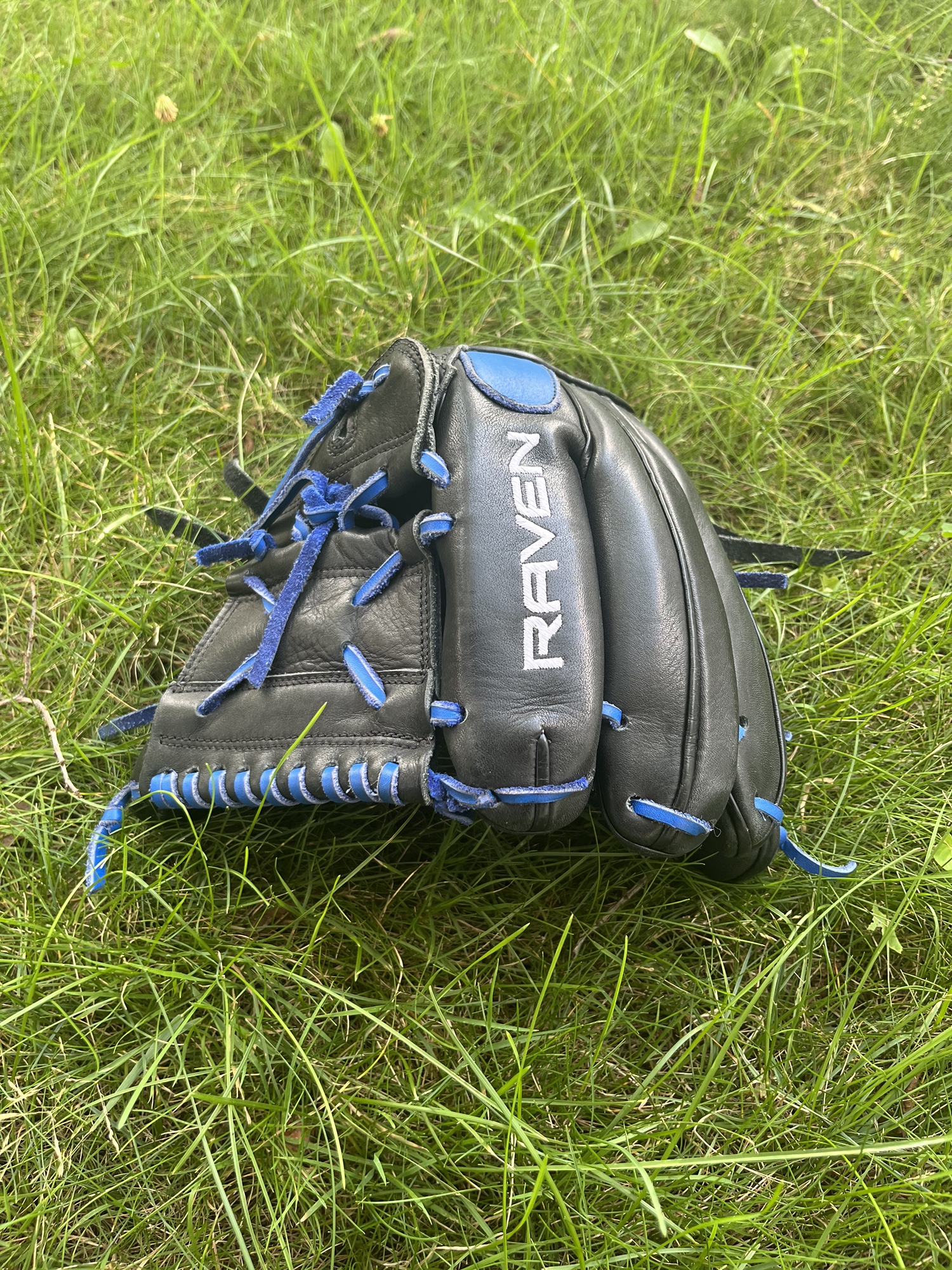 Raven Performance 12" Pitcher’s Glove | SidelineSwap