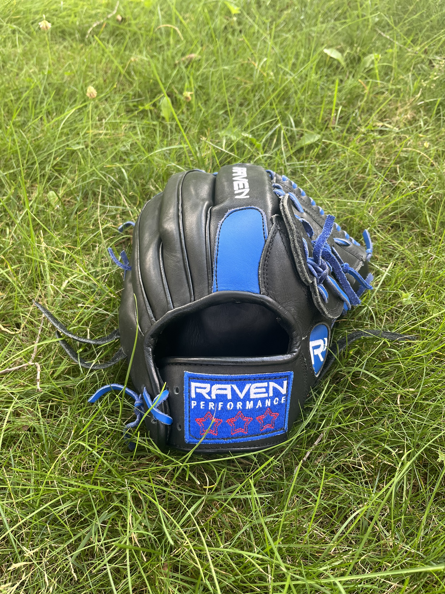 Raven Performance 12" Pitcher’s Glove | SidelineSwap