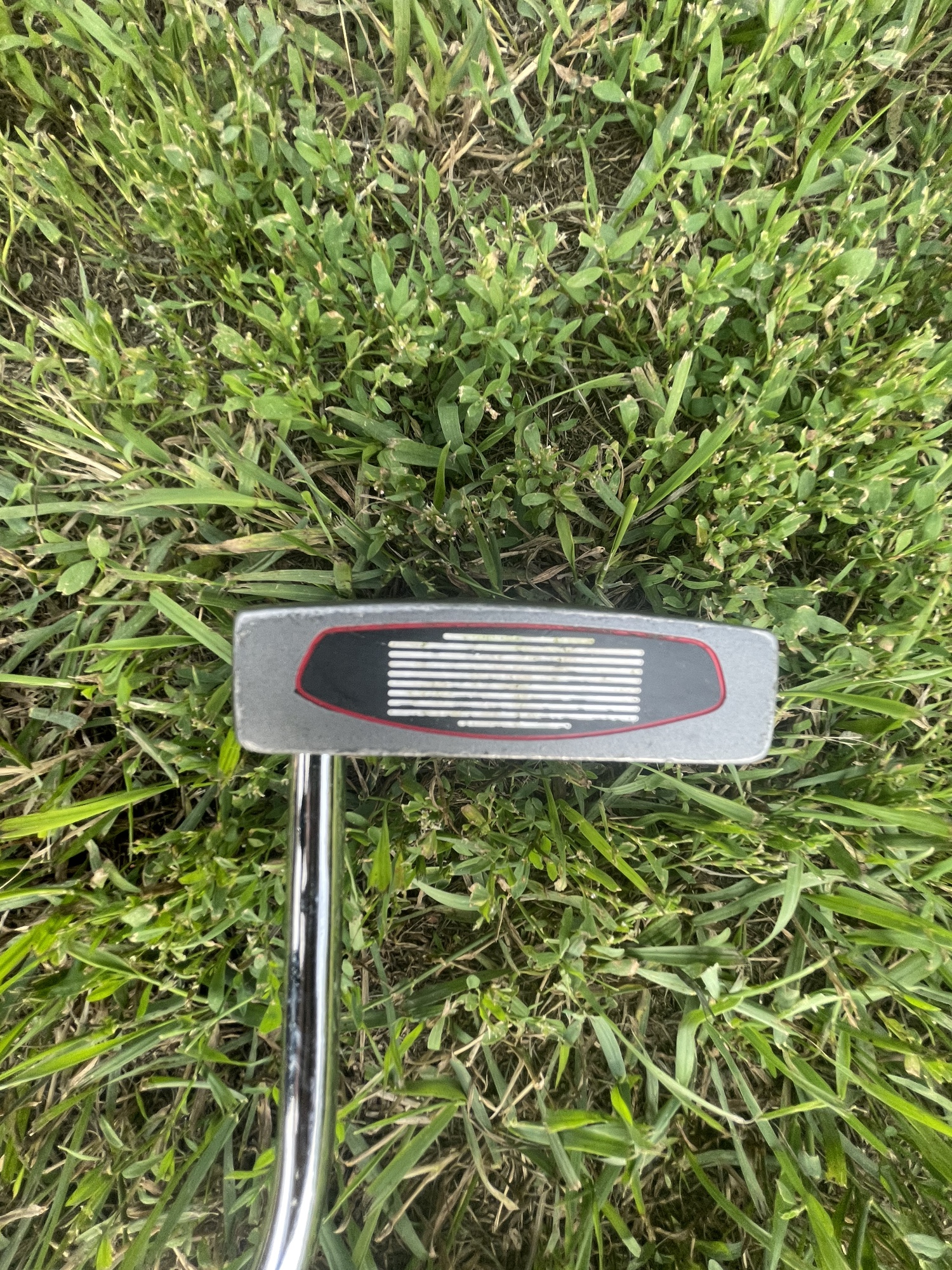 Black Unisex 2016 Counterbalanced Uniflex 34" Ray Cook Putter ...