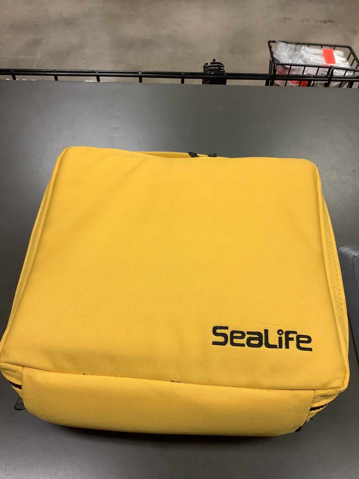 Sea life DC2000 Pro Duo Set W/UW Camera Deluxe Kit | SidelineSwap