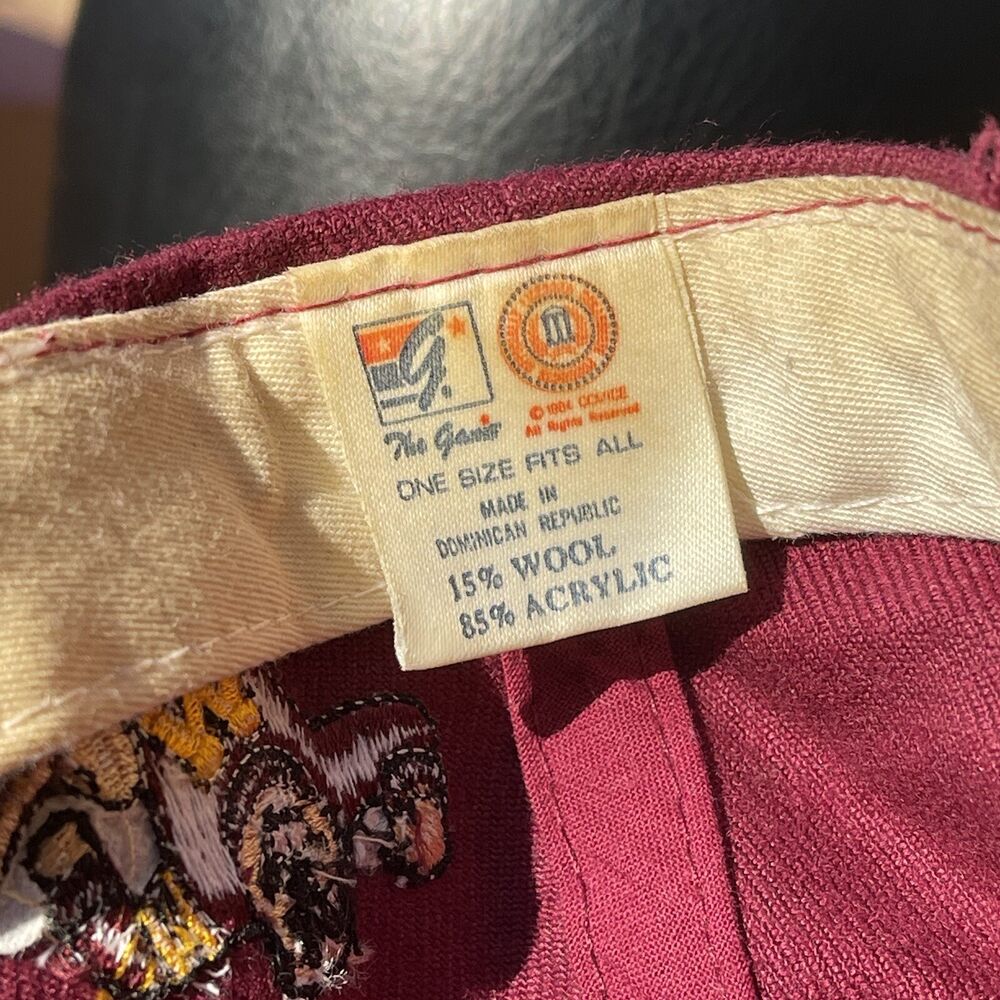 Vintage University of Minnesota Golden Gophers Script Snapback Hat Wool ...