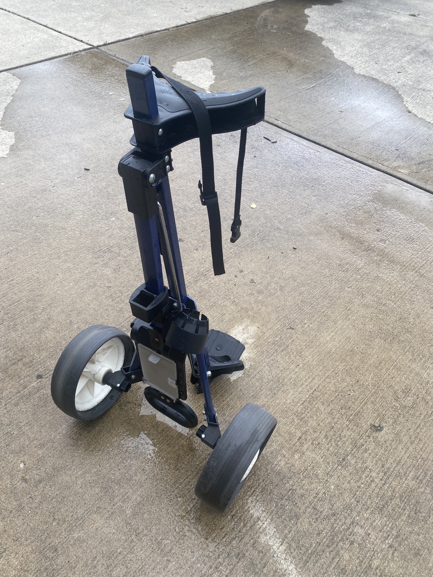 Spalding 2 wheel golf cart | SidelineSwap
