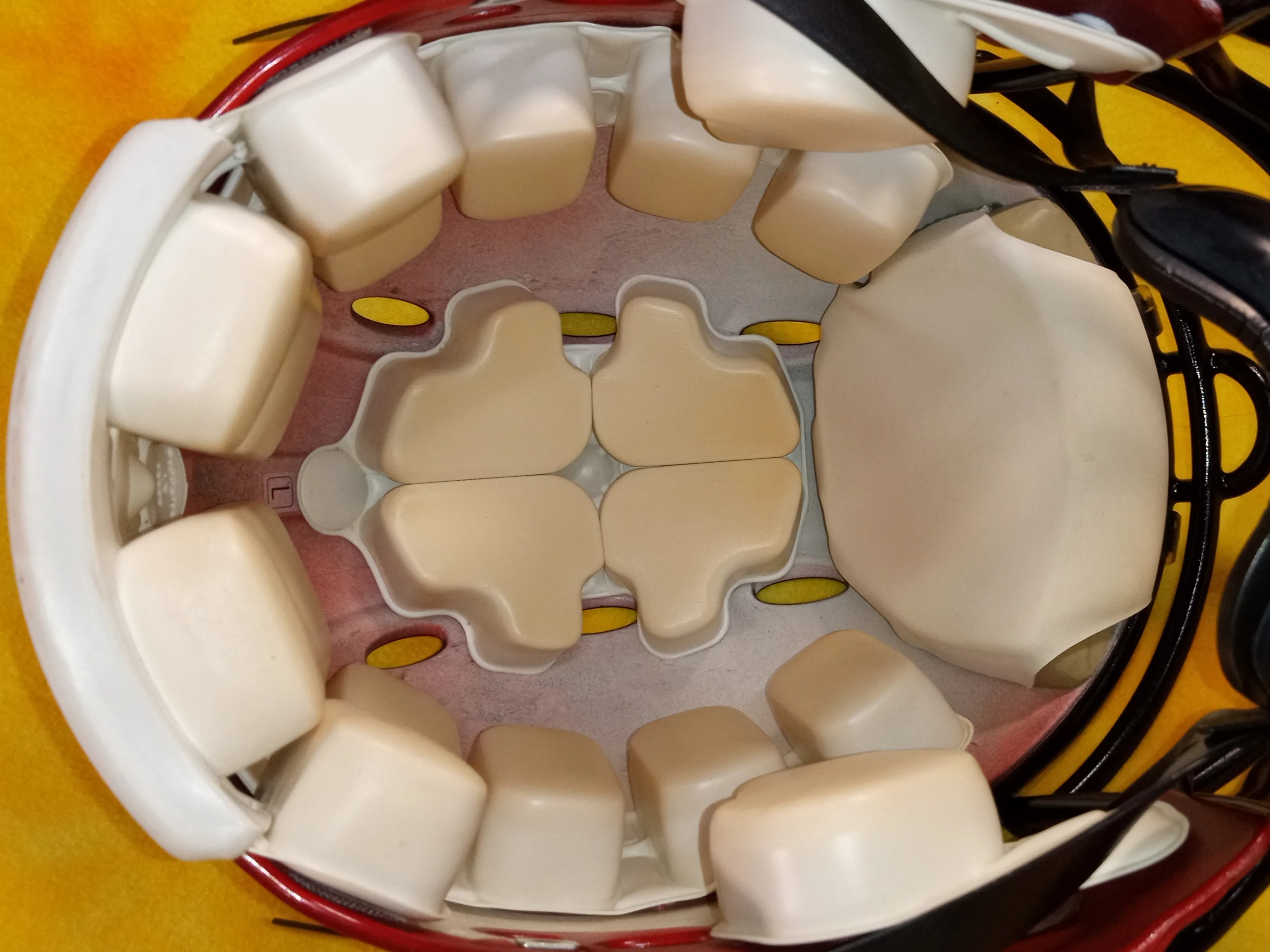 Texas Tech Red Raiders Super custom fullsize Riddell Revo lg color fade ...