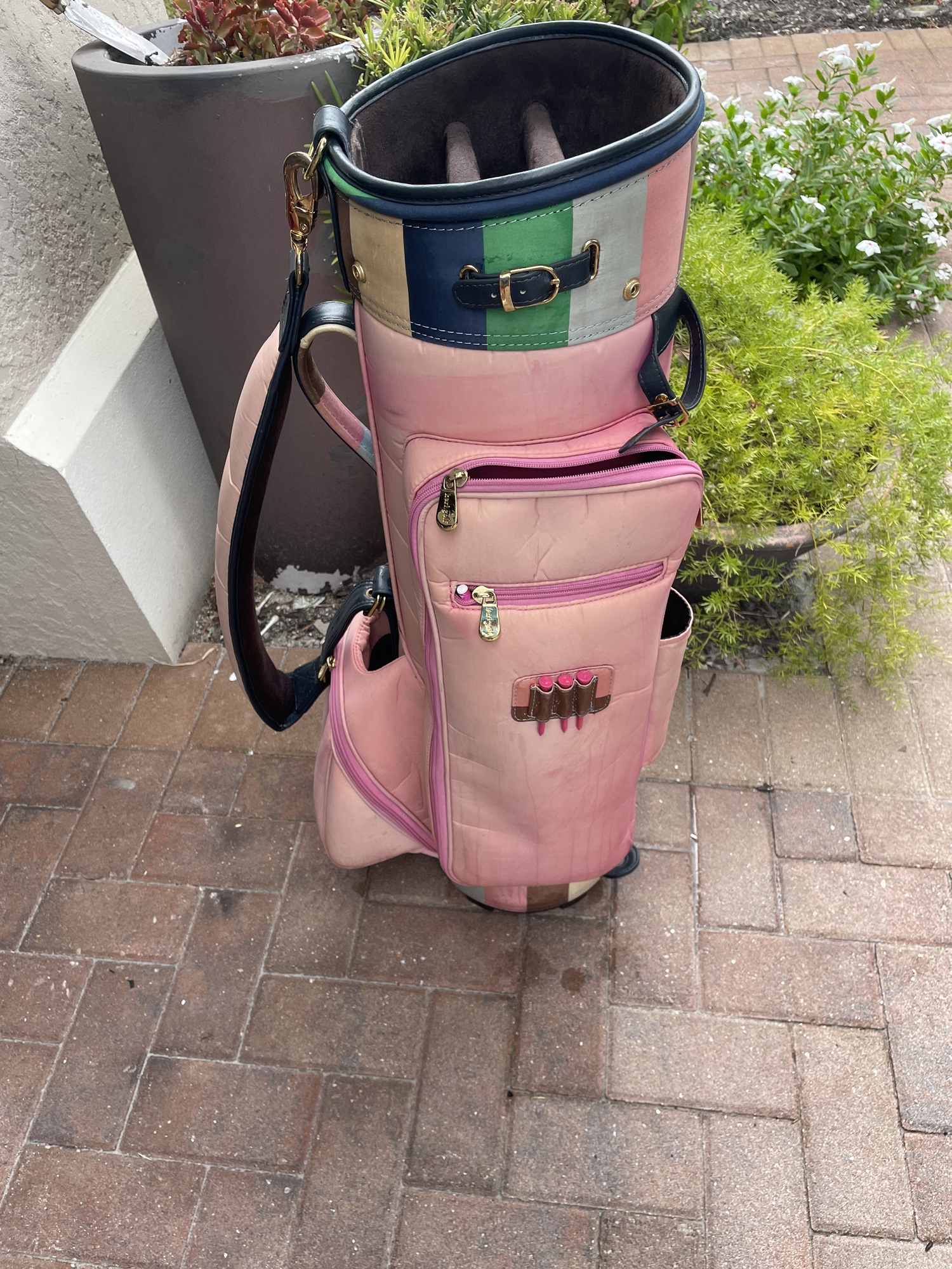 Woman’s golf cart bag by Keri Golf . Comes with matching rain cover ...