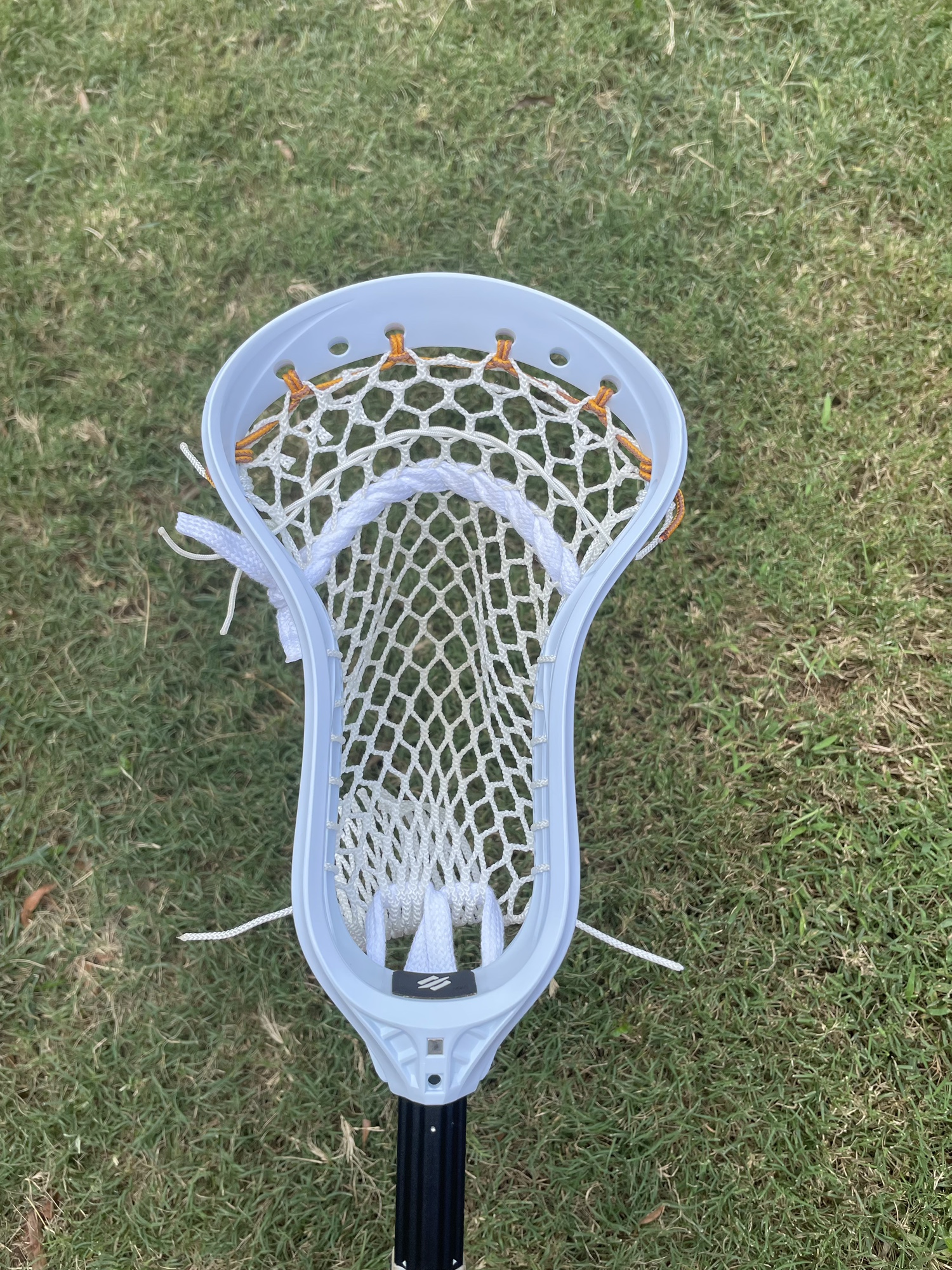 New StringKing Mark 2F W/ ECD Hero 3.0 | SidelineSwap