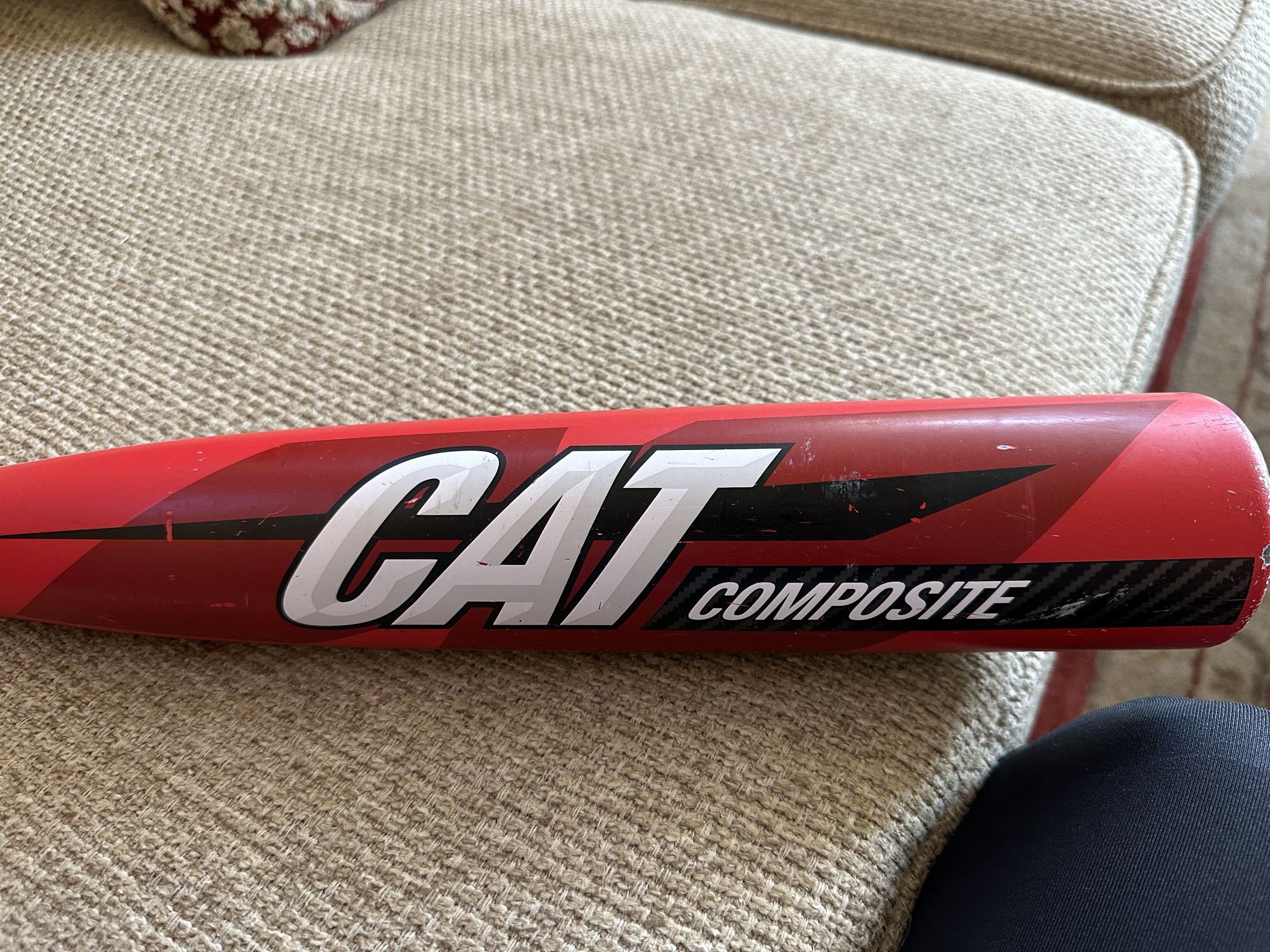 2018 Composite (-10) 19 oz 29" CAT 8 Bat | SidelineSwap