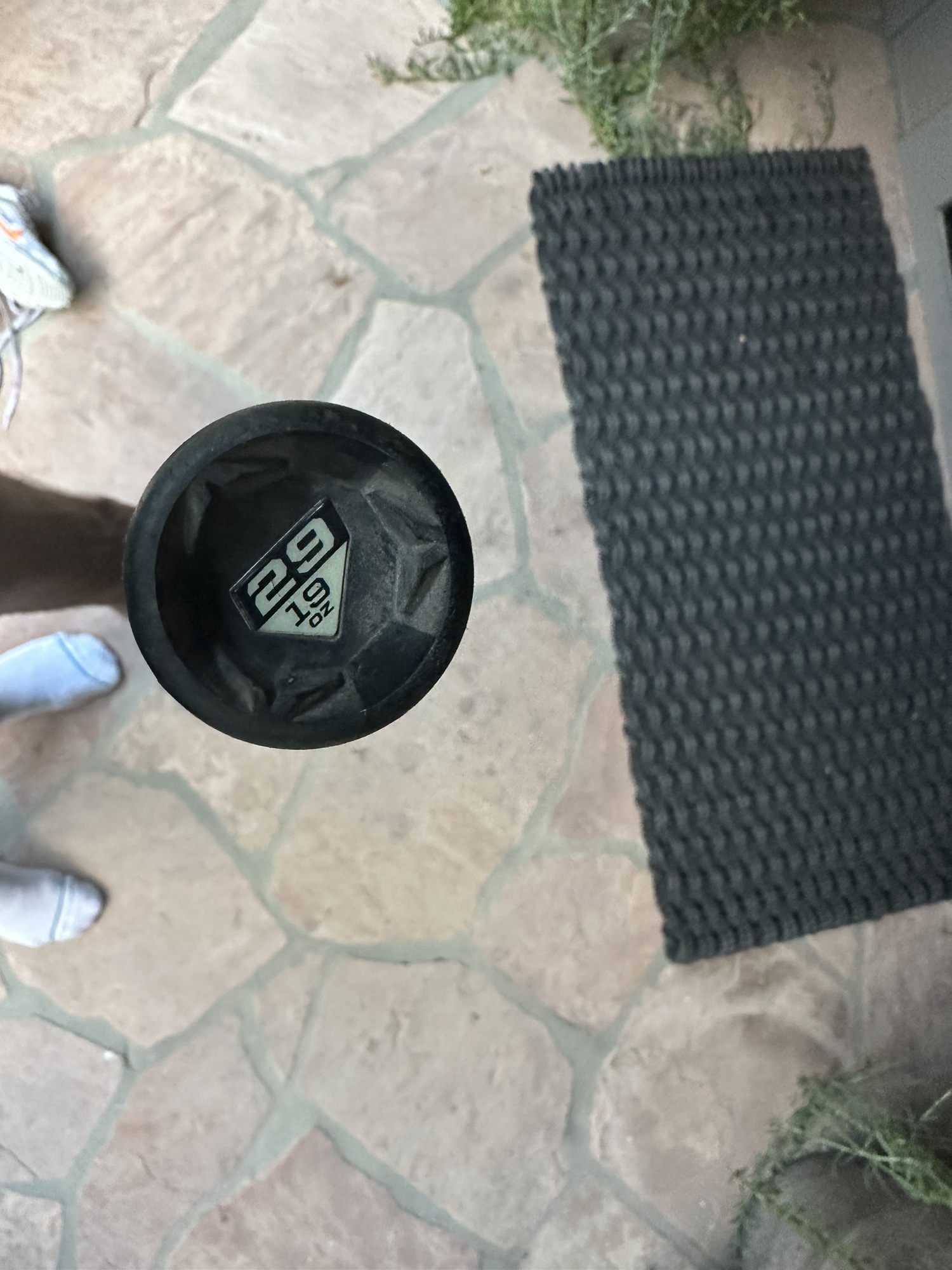 2022 Composite (-10) 19 oz 29" Zoa Glitch Bat | SidelineSwap