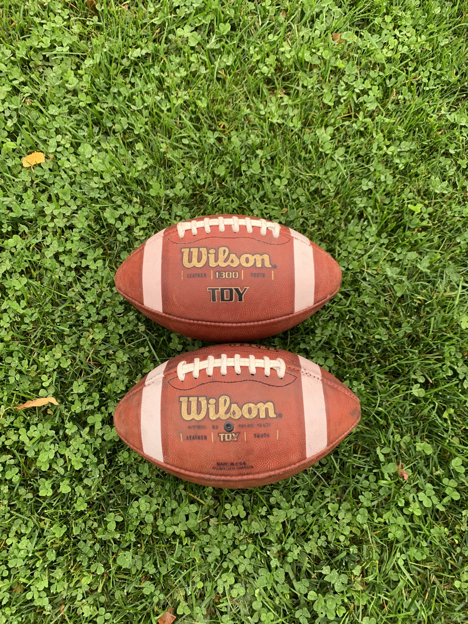 Two Youth Wilson Footballs | SidelineSwap