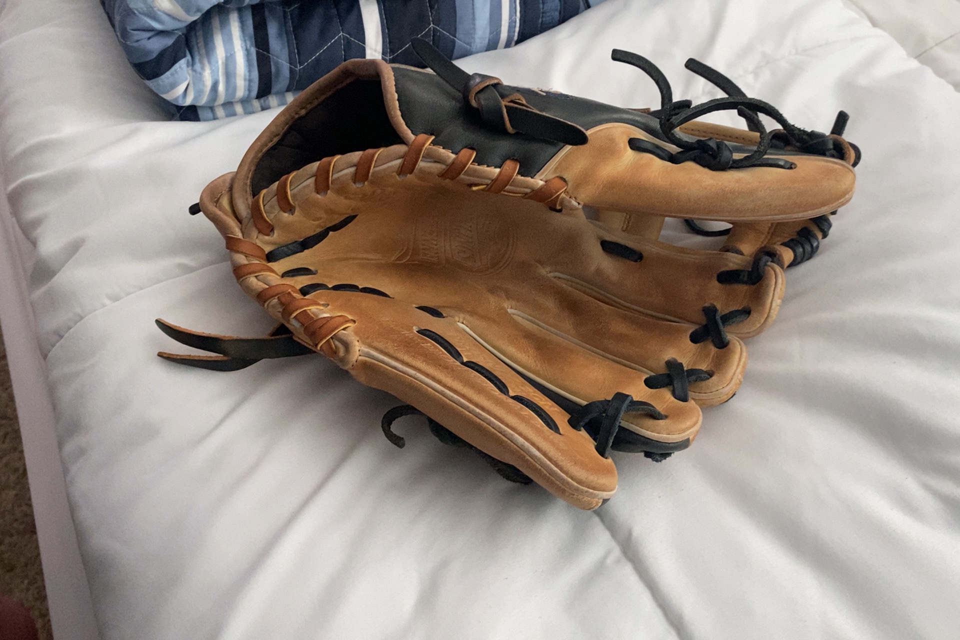 Used 2022 Infield 11.5" Pro Preferred Baseball Glove | SidelineSwap