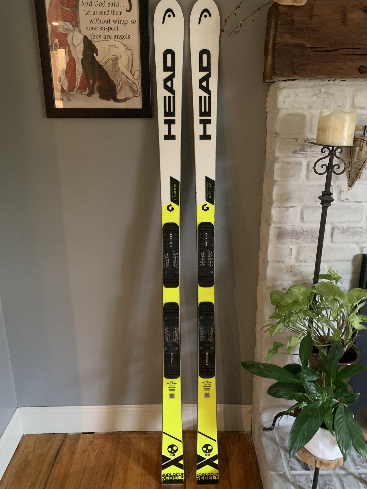 Head World Cup Rebels I.GS RD race skis | SidelineSwap