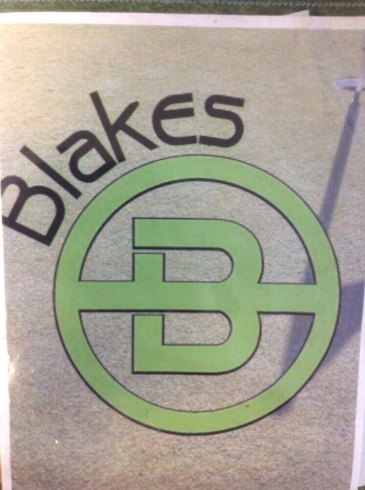 Ping Zing Single 8 Iron With KT-M Steel Shaft | SidelineSwap