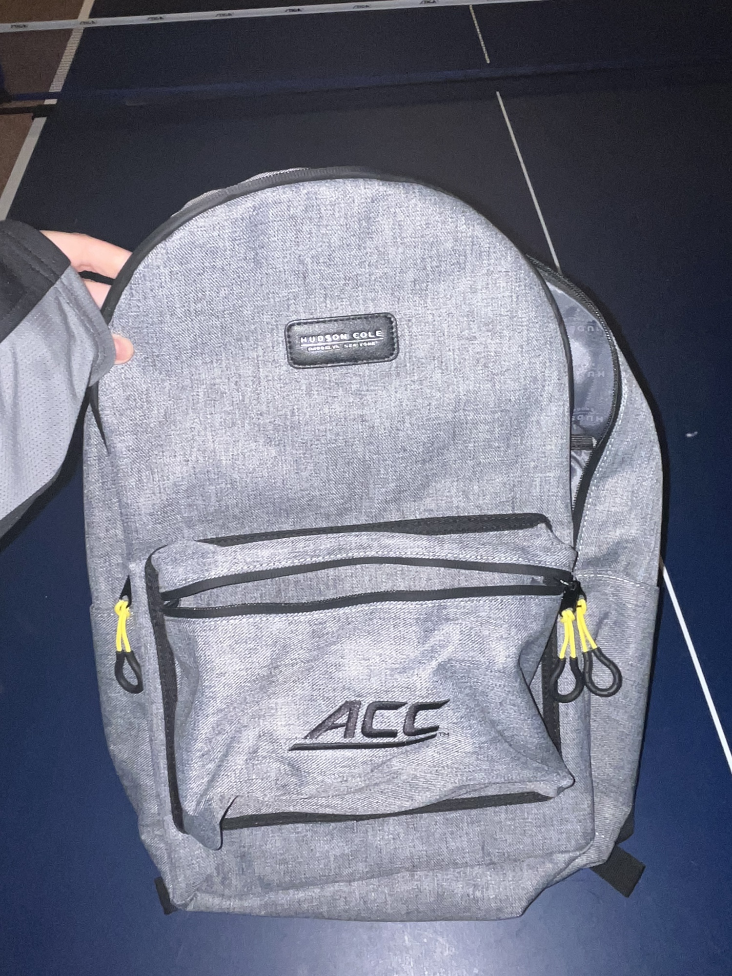 Gray New Small / Medium Backpack | SidelineSwap