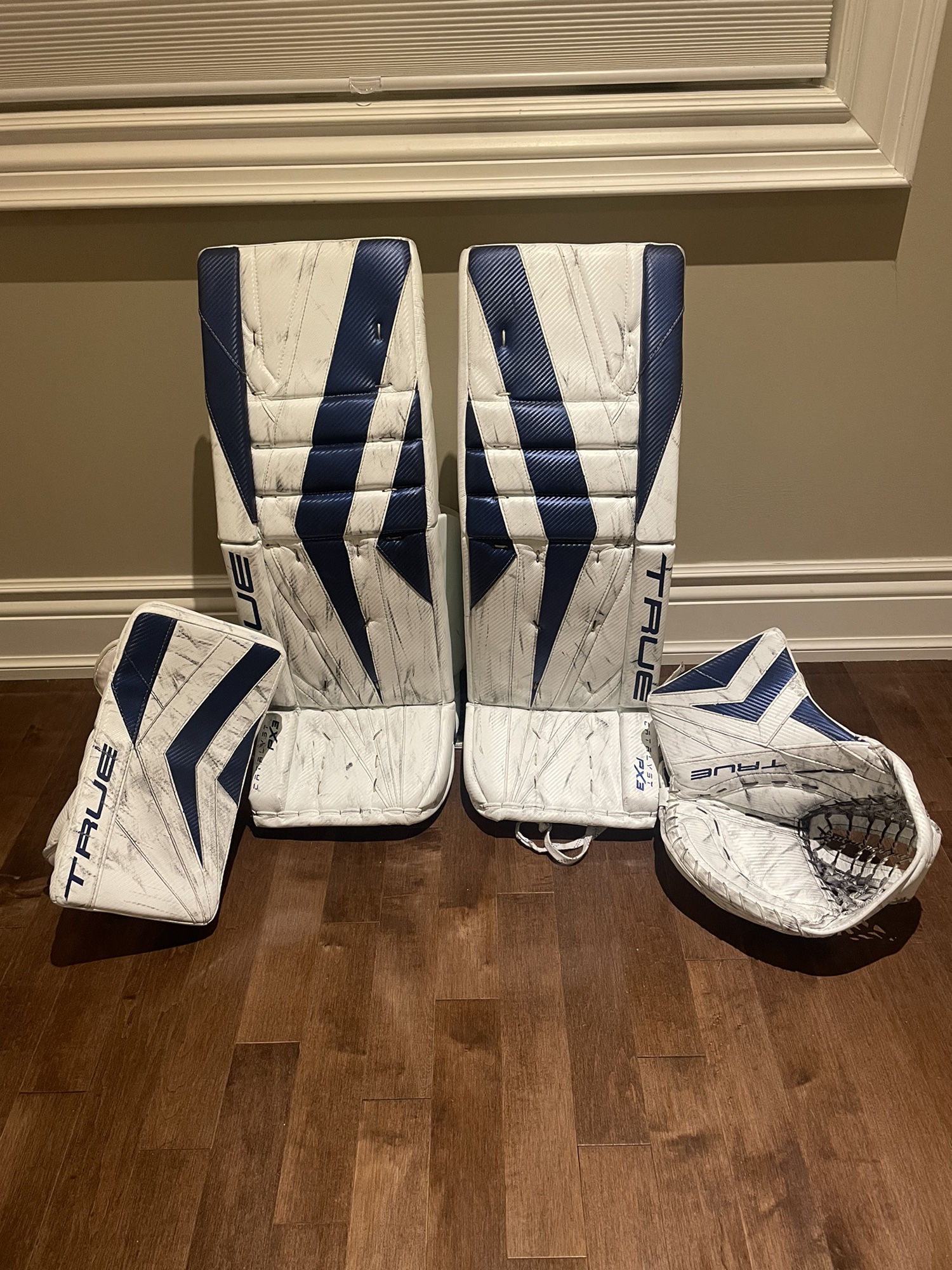 33+1 True Catalyst PX3 Pro Stock Goalie Pads & Gloves Full Set ...