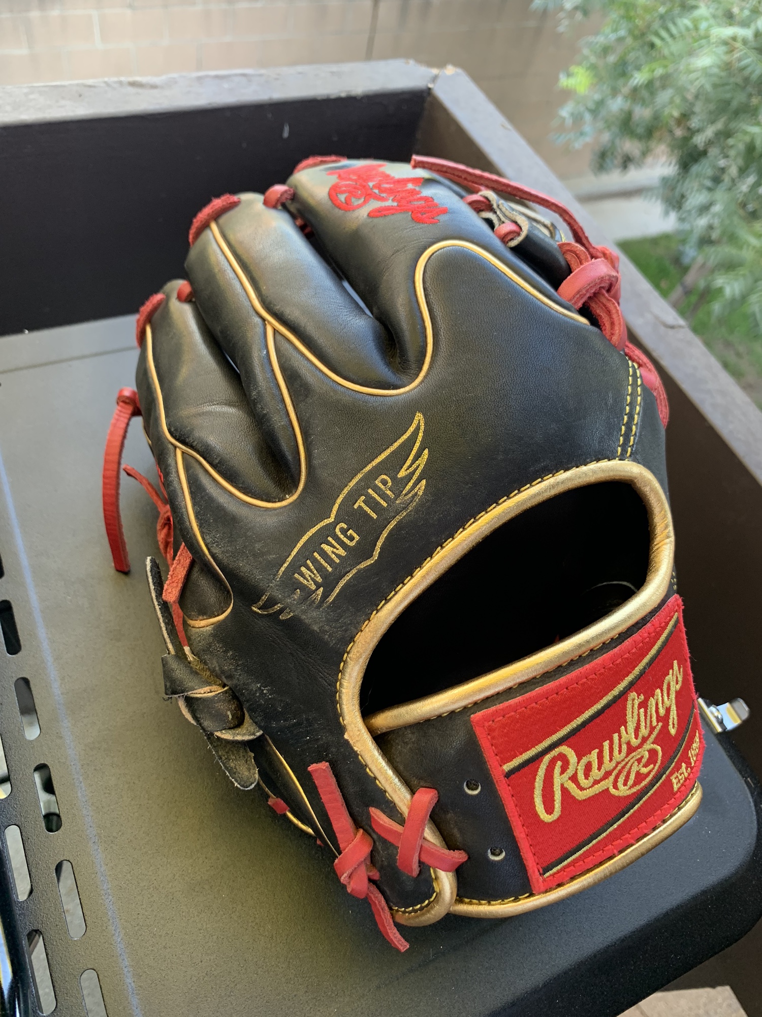 HOH R2G 11.75 glove | SidelineSwap