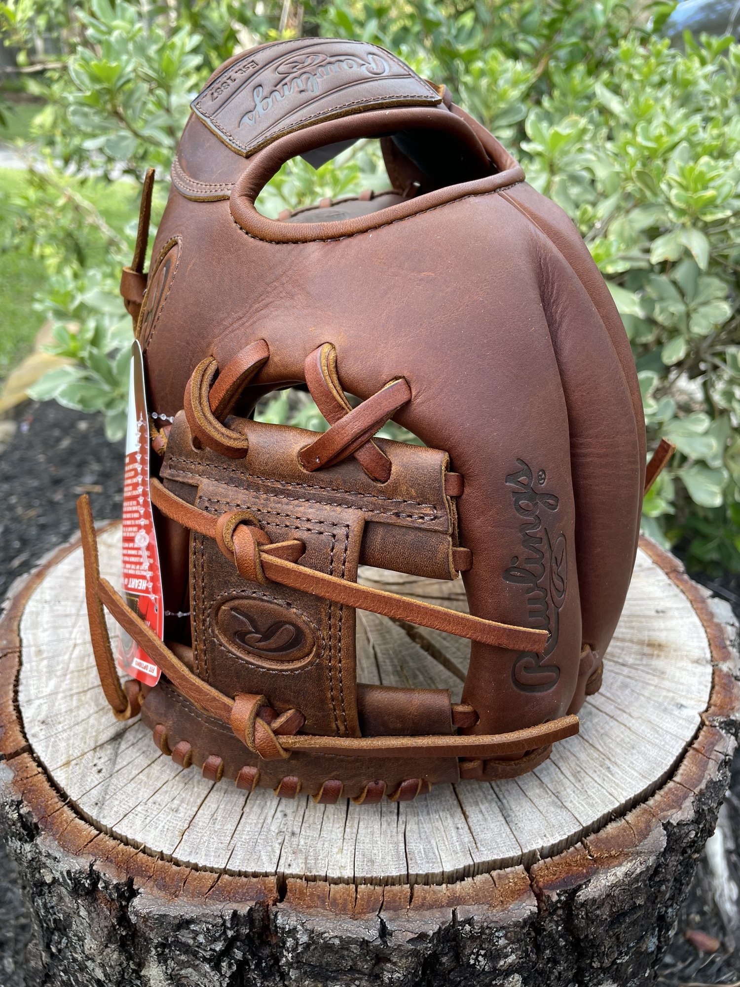 New Rawlings HOH Pro Label Element "EARTH" 11.5" Baseball Glove ...