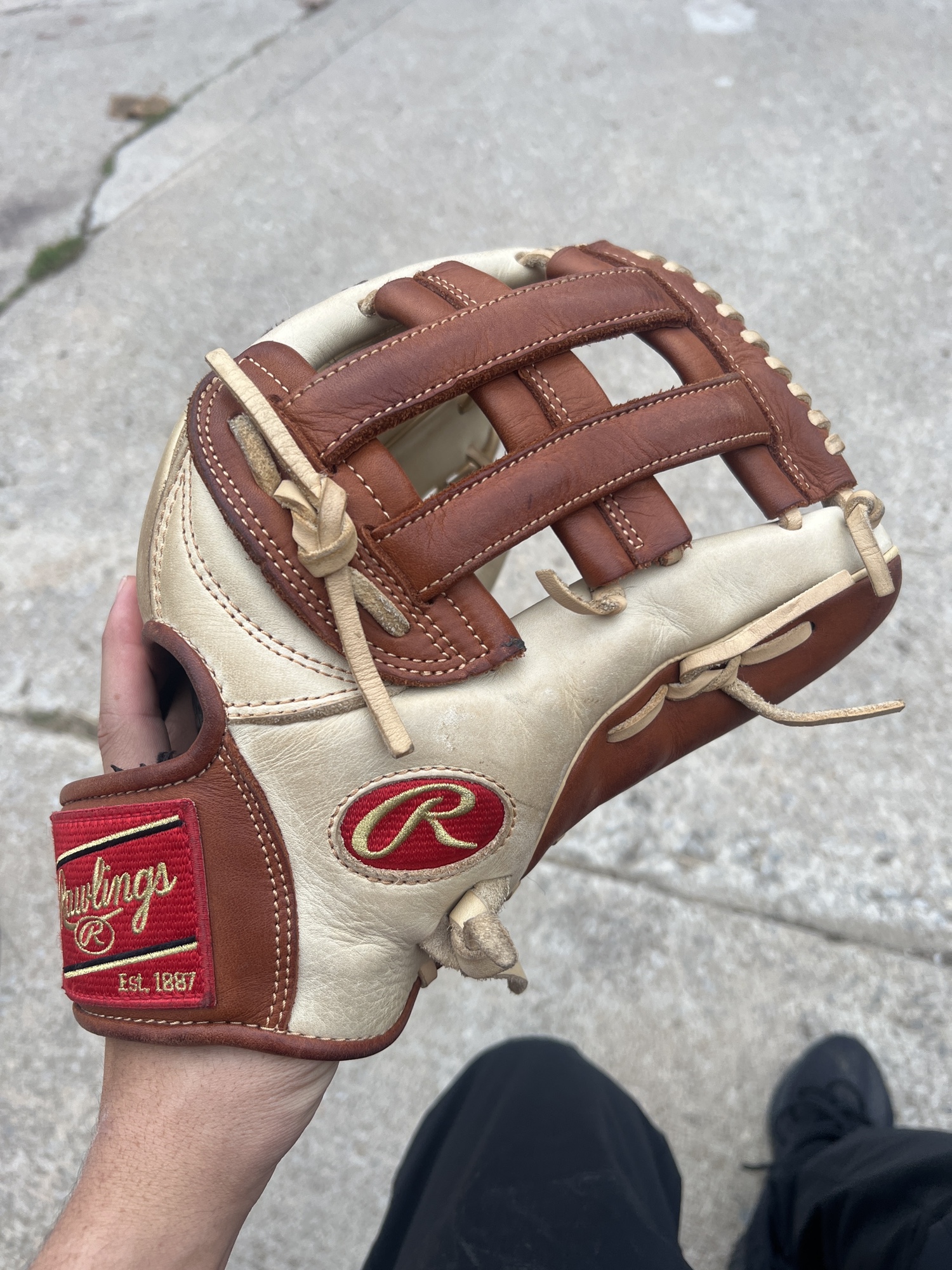 2022 Rawlings Gold Glove Baseball Glove | SidelineSwap