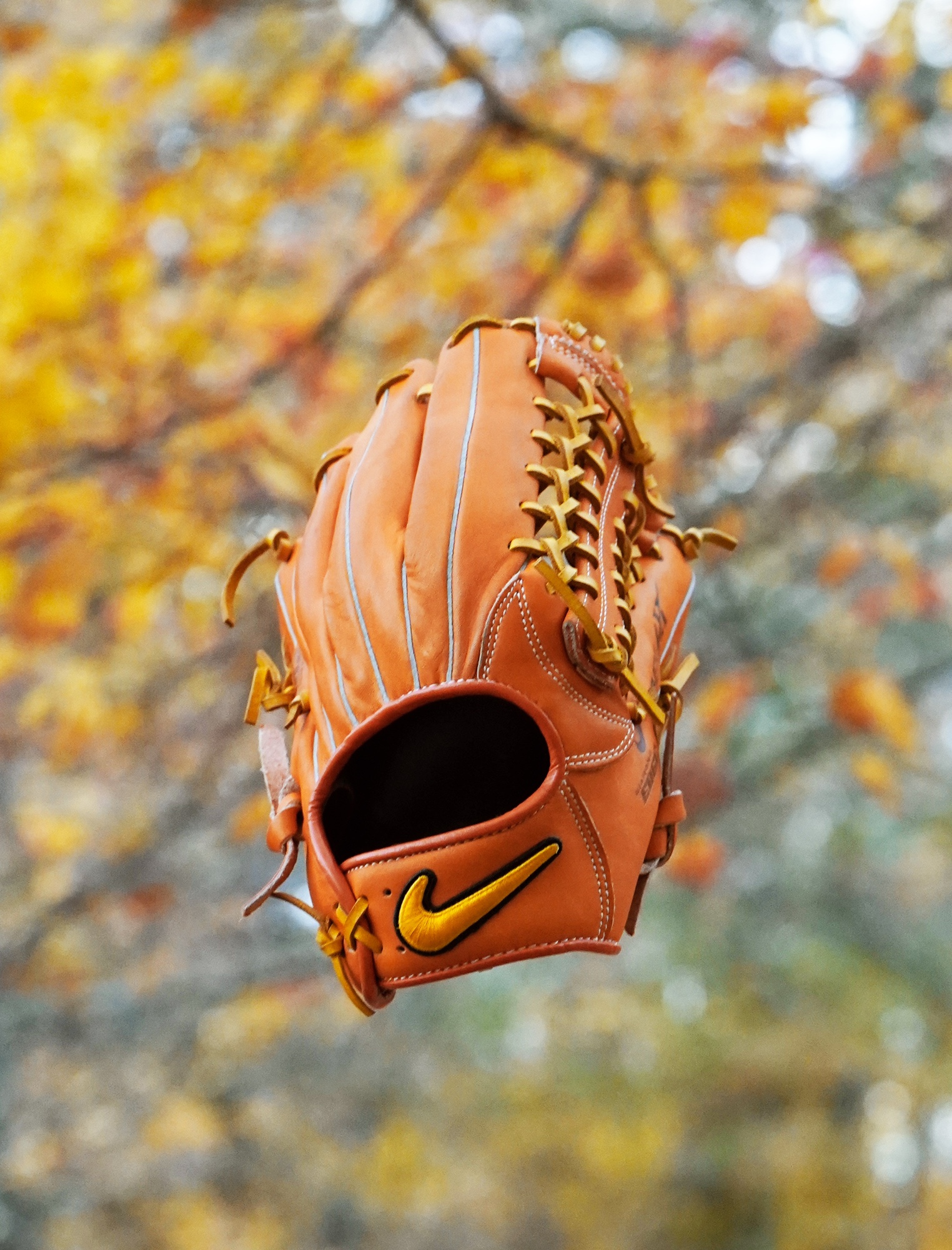 (SUPER RARE)Nike Diamond Edge Slasher II | SidelineSwap