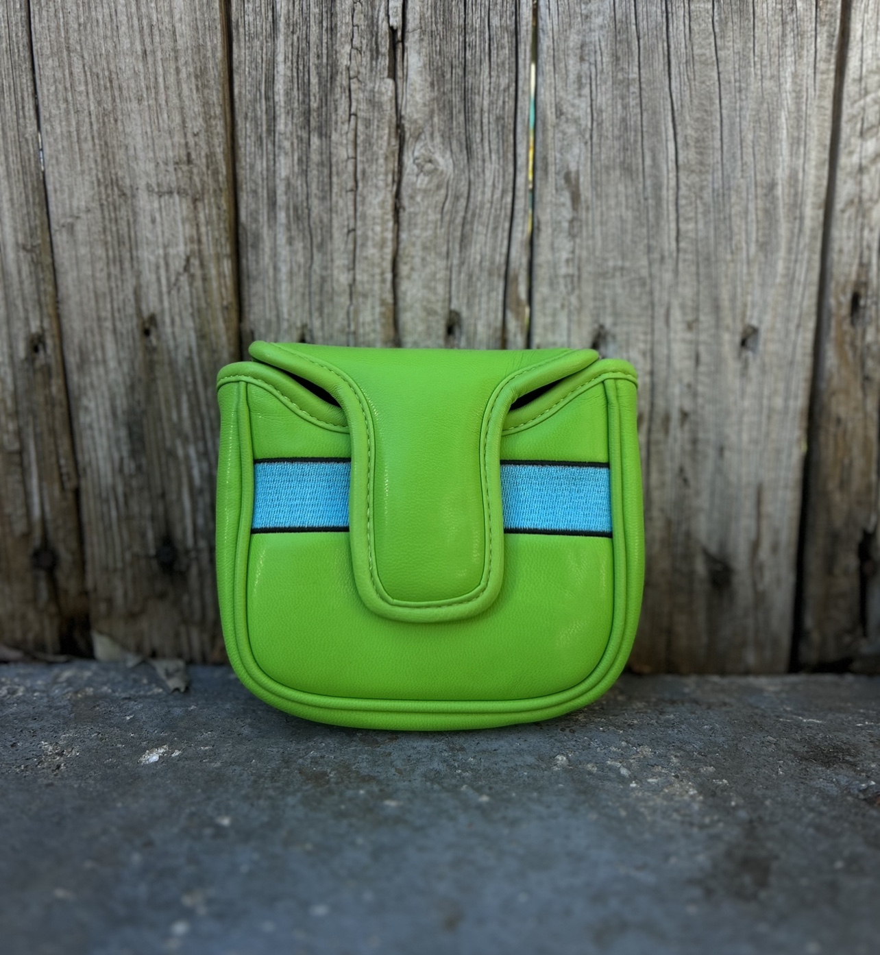 Ninja Turtle Golf Putter Headcover | SidelineSwap