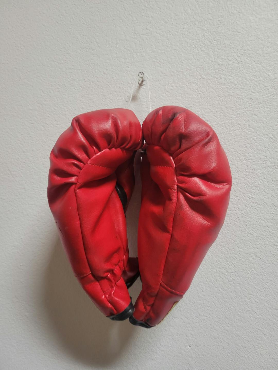 Used Everlast Sm 9 Oz Boxing Gloves | SidelineSwap