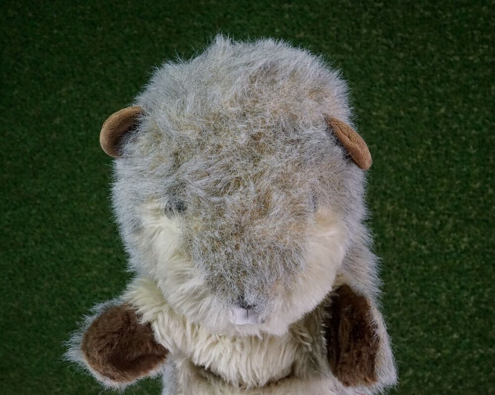 DAPHNE GOPHER DRIVER HEADCOVER ~ L@@K!! | SidelineSwap