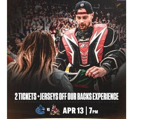 ARIZONA COYOTES Karel Vejmelka game-worn Brian's chest+arm protector ...