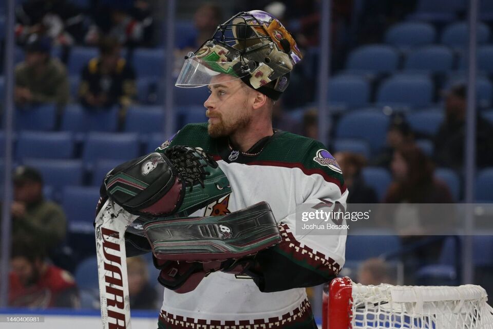 ARIZONA COYOTES Karel Vejmelka game-worn Brian's chest+arm protector ...