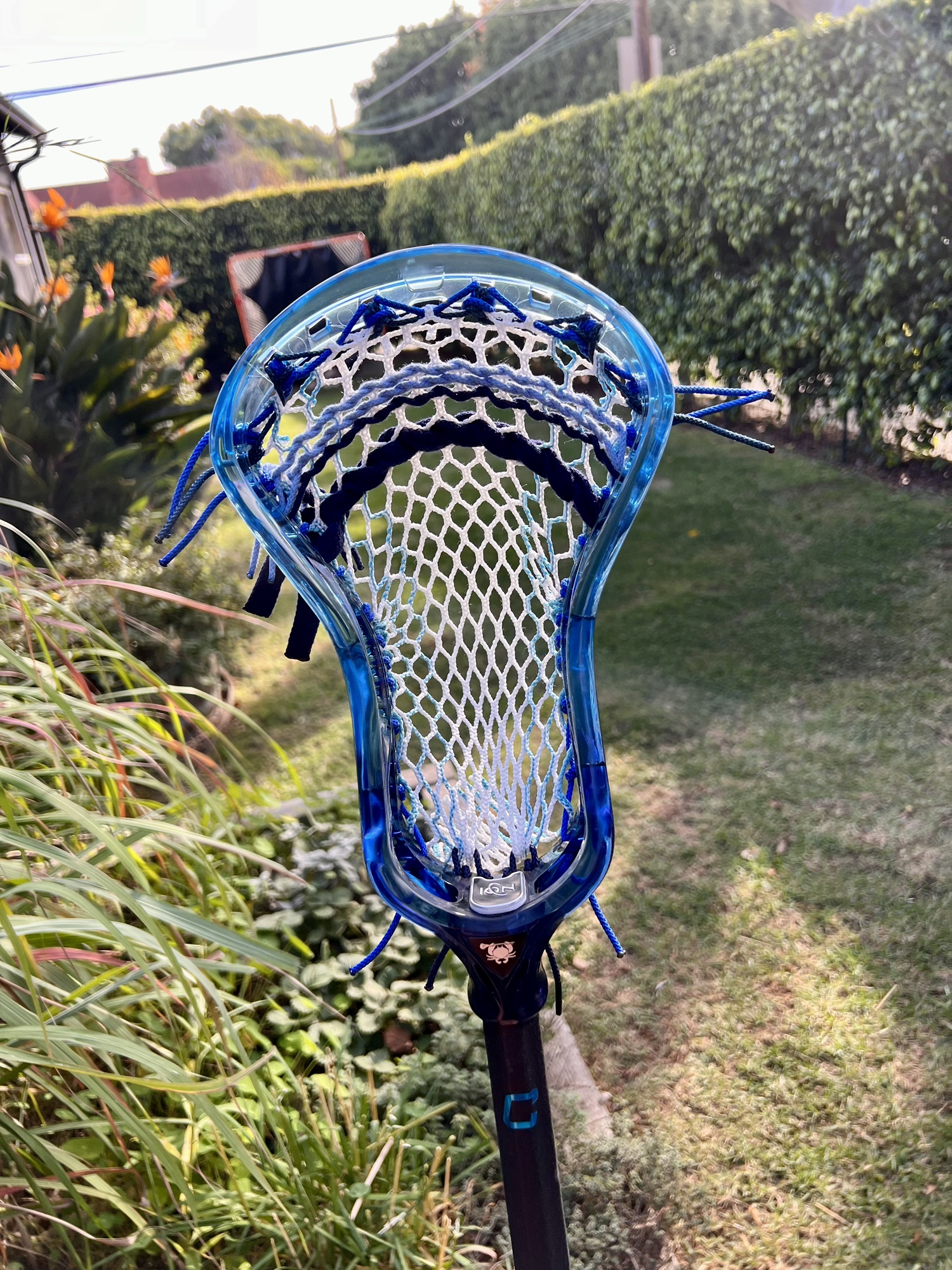 ECD Ion on Limited Edition Carbon 3.0 shaft | SidelineSwap