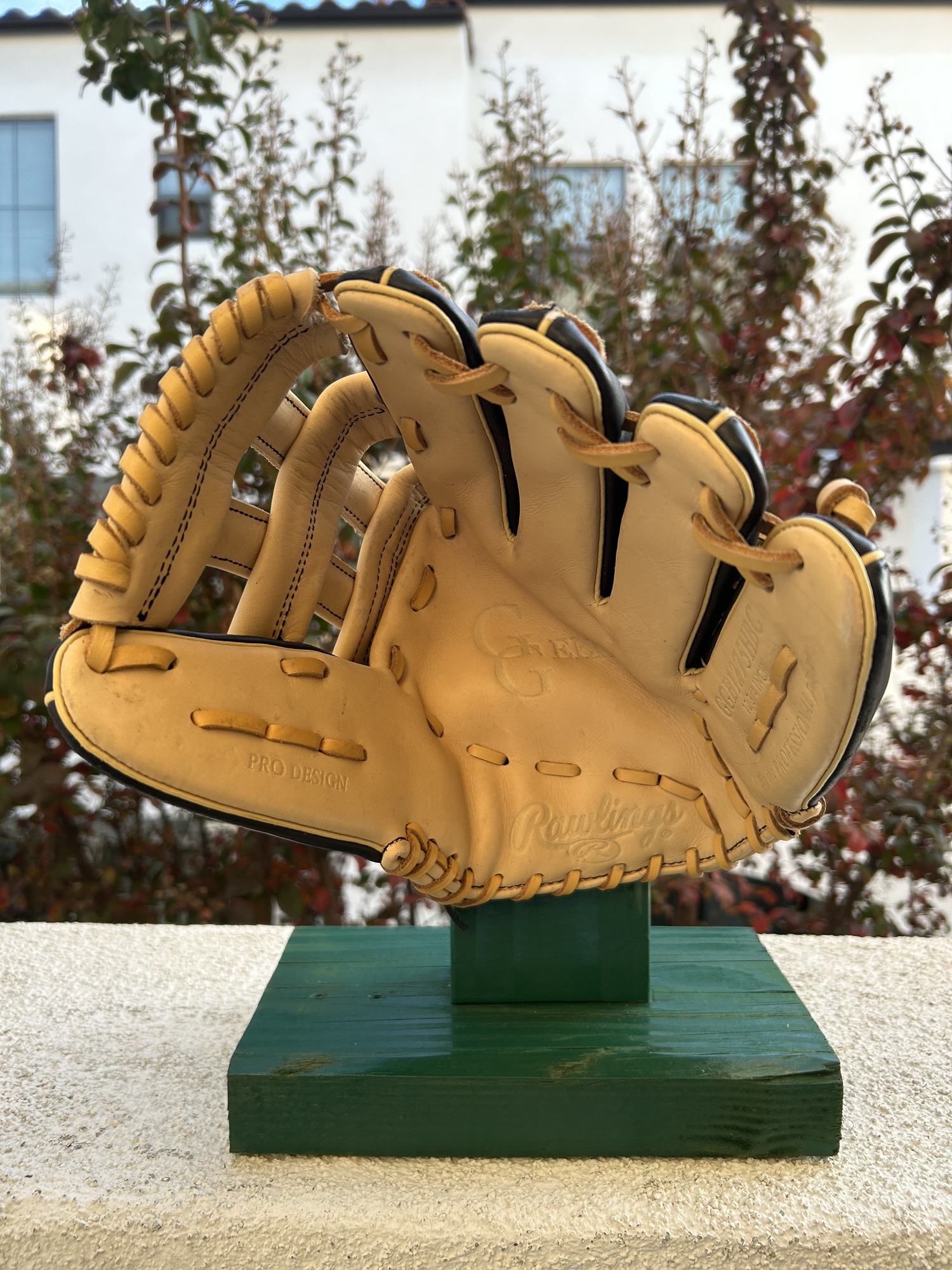 Rawlings Gg elite Baseball Glove | SidelineSwap