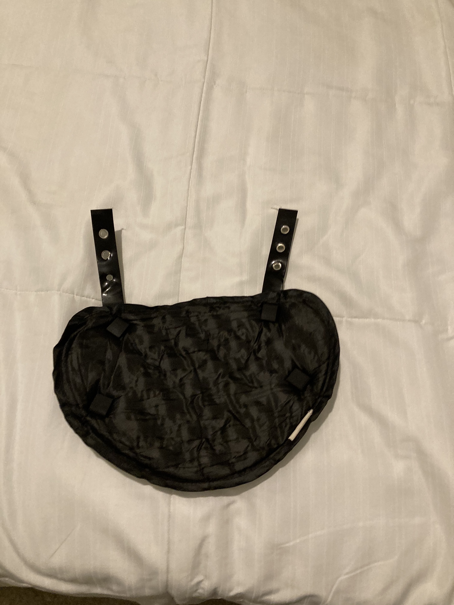 Riddell silver chrome back plate | SidelineSwap