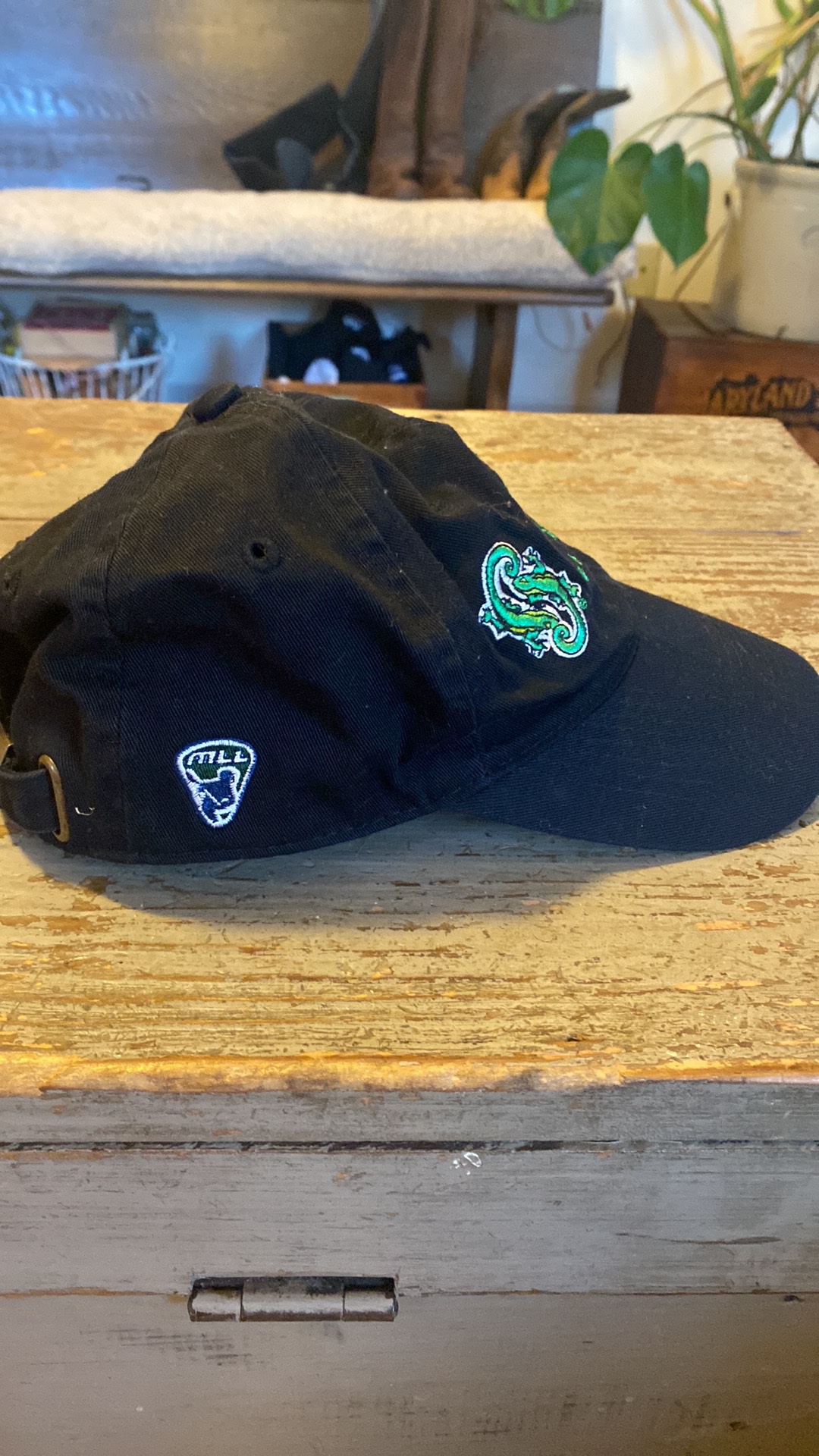 Long Island Lizards Hat - Original Logo | SidelineSwap