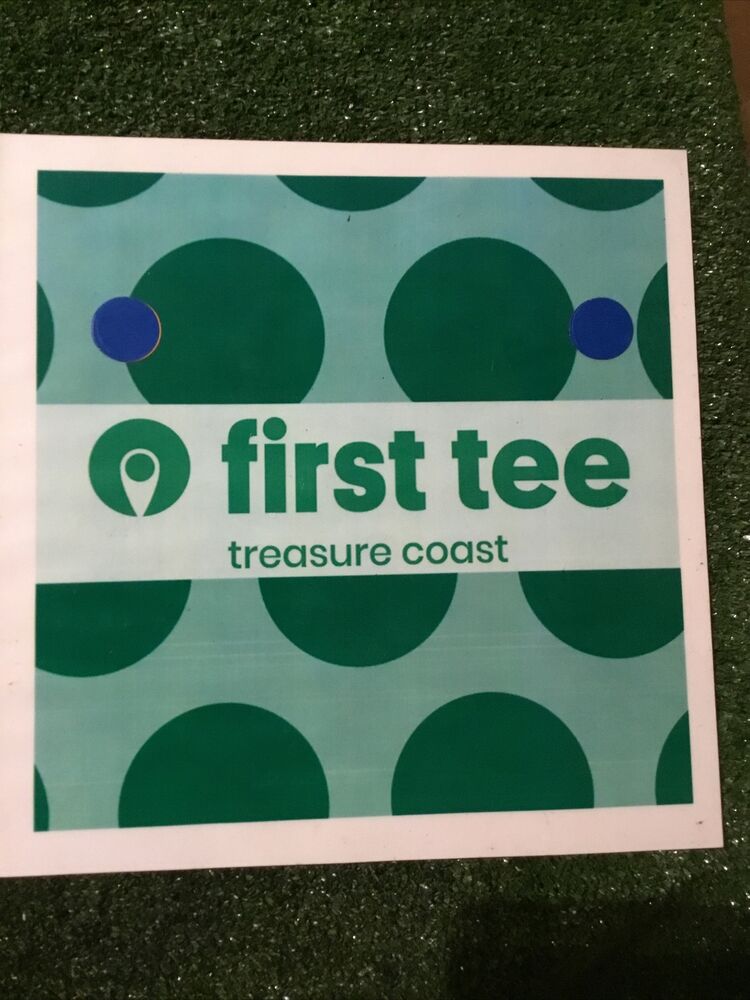 Cobra Amp Cell Blue MyFly Woods Set (3-4 FW & 5-7 FW)Regular 57g Fuel Graphite | SidelineSwap