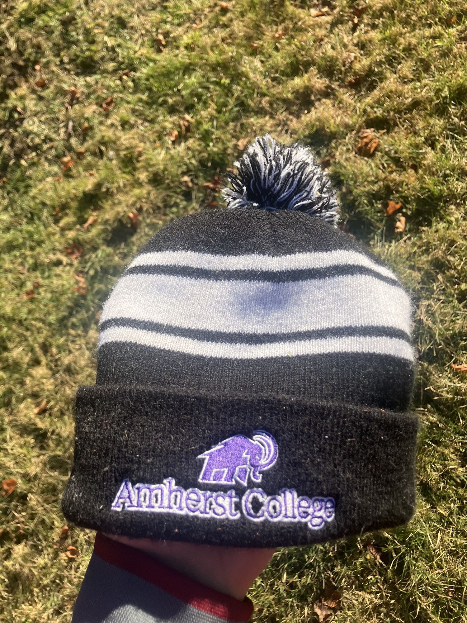 Amherst college Mammoths winter PomPom hat | SidelineSwap