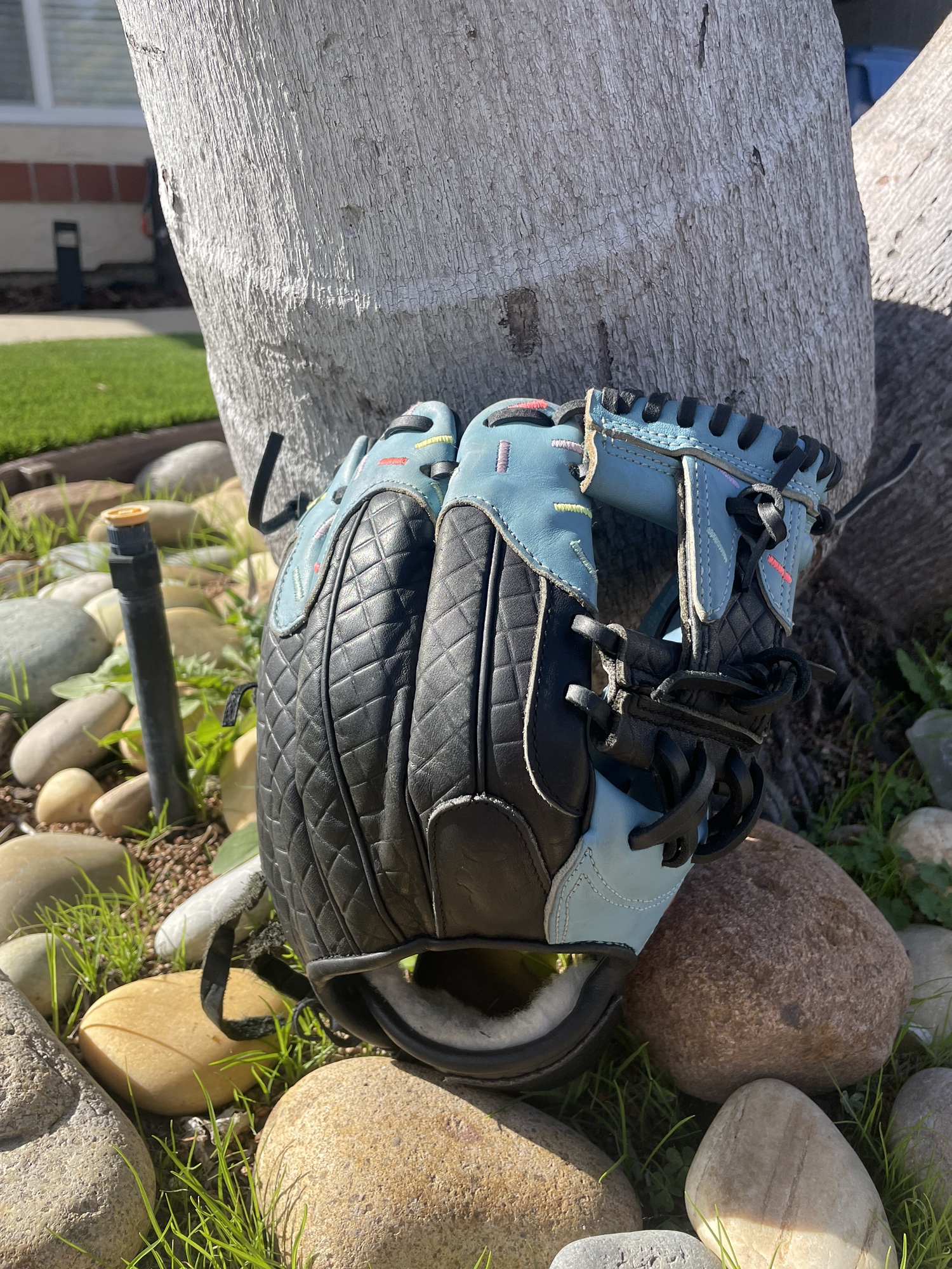 Aria Baseball Glove | SidelineSwap