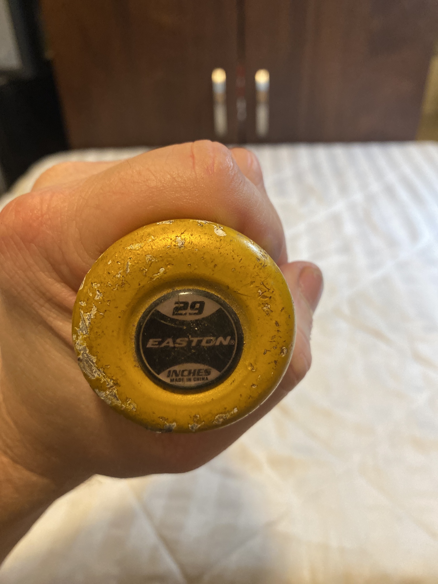 Easton Cyclone 29/19 Baseball Bat | SidelineSwap