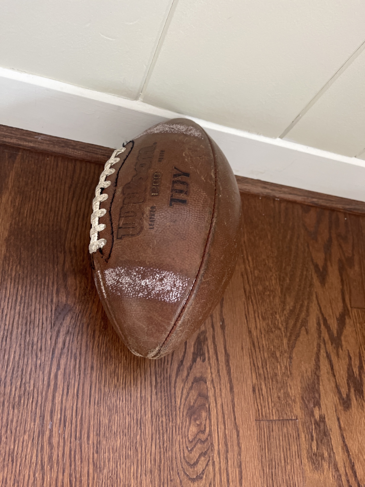 Wilson TDY Conditioned Football | SidelineSwap