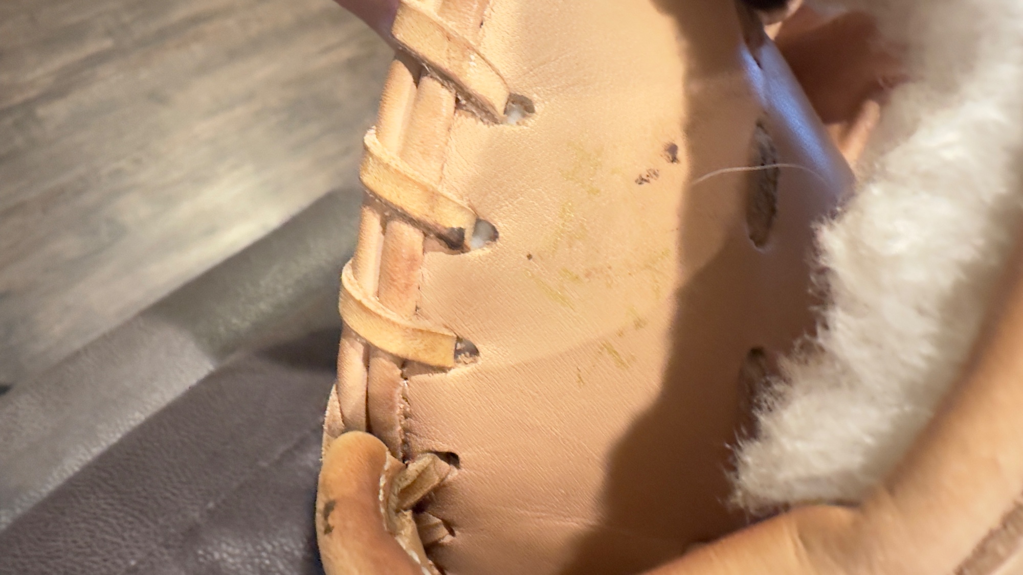 Absolutely Ridiculous 11.5 Cherry Dip (Rare) (BEST OFFERS) | SidelineSwap